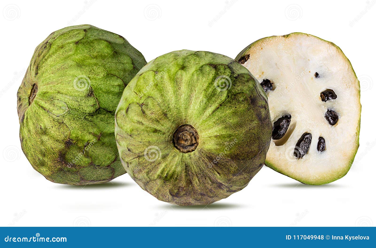 Cherimoya fruit isolated stock photo. Image of exotic - 117049948