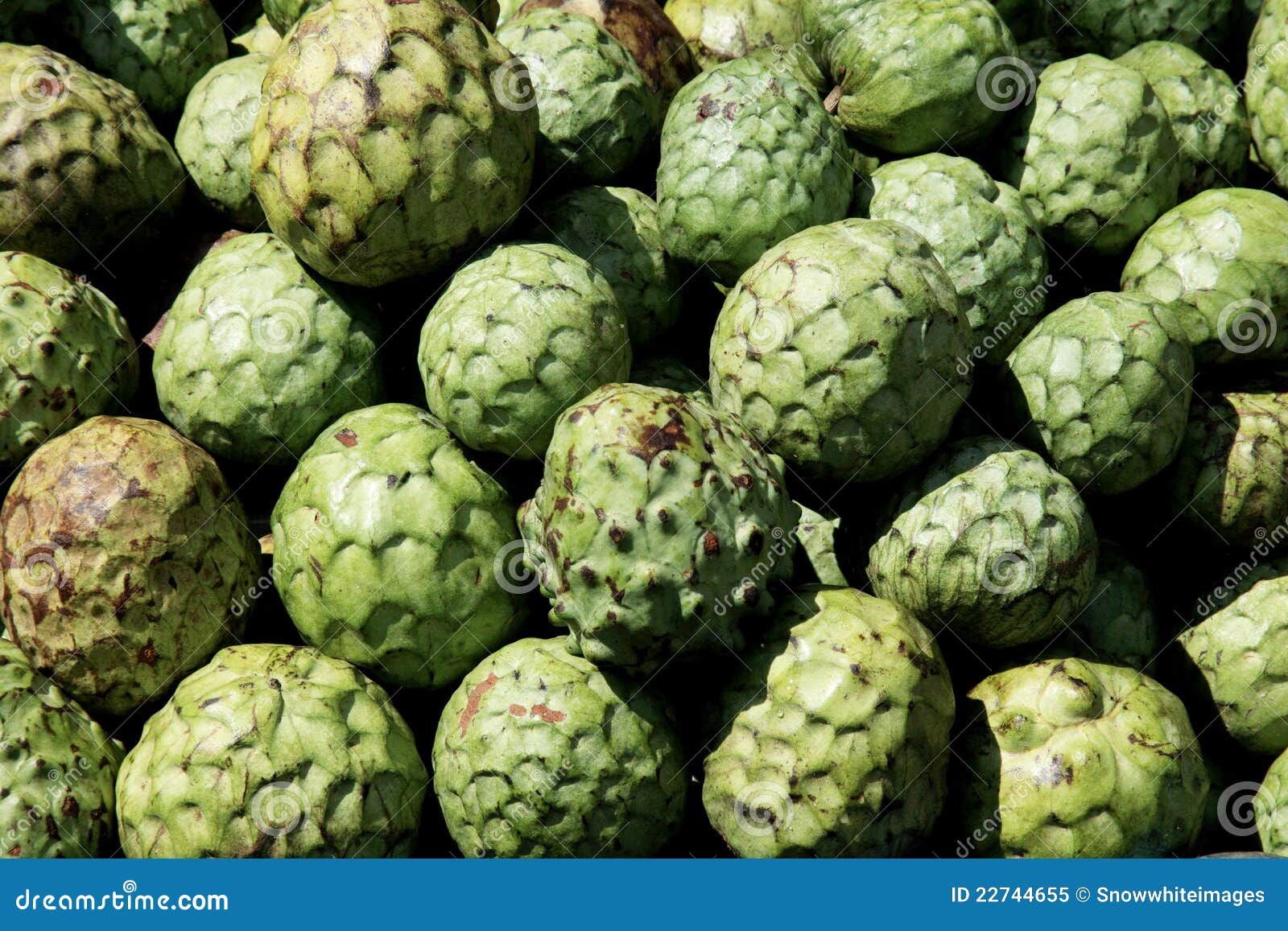Cherimoya fruits stock image. Image of freshness, annonacea - 22744655