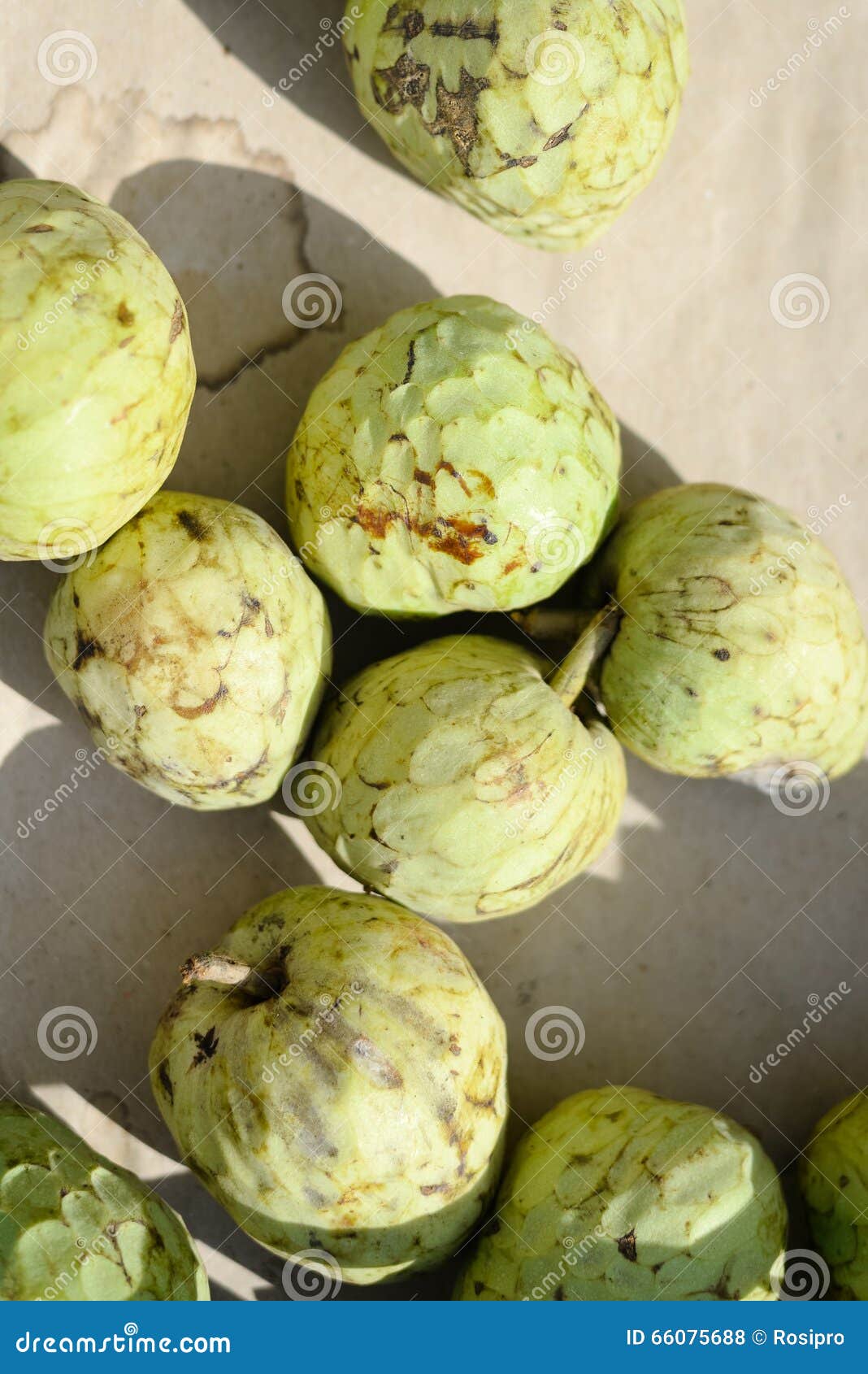 Cherimoya Groen Fruit Op De Marktkraam Stock Foto - Image of document ...