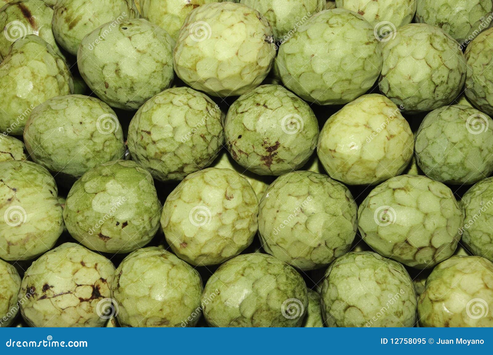 Cherimoyas stock image. Image of background, food, eating - 12758095