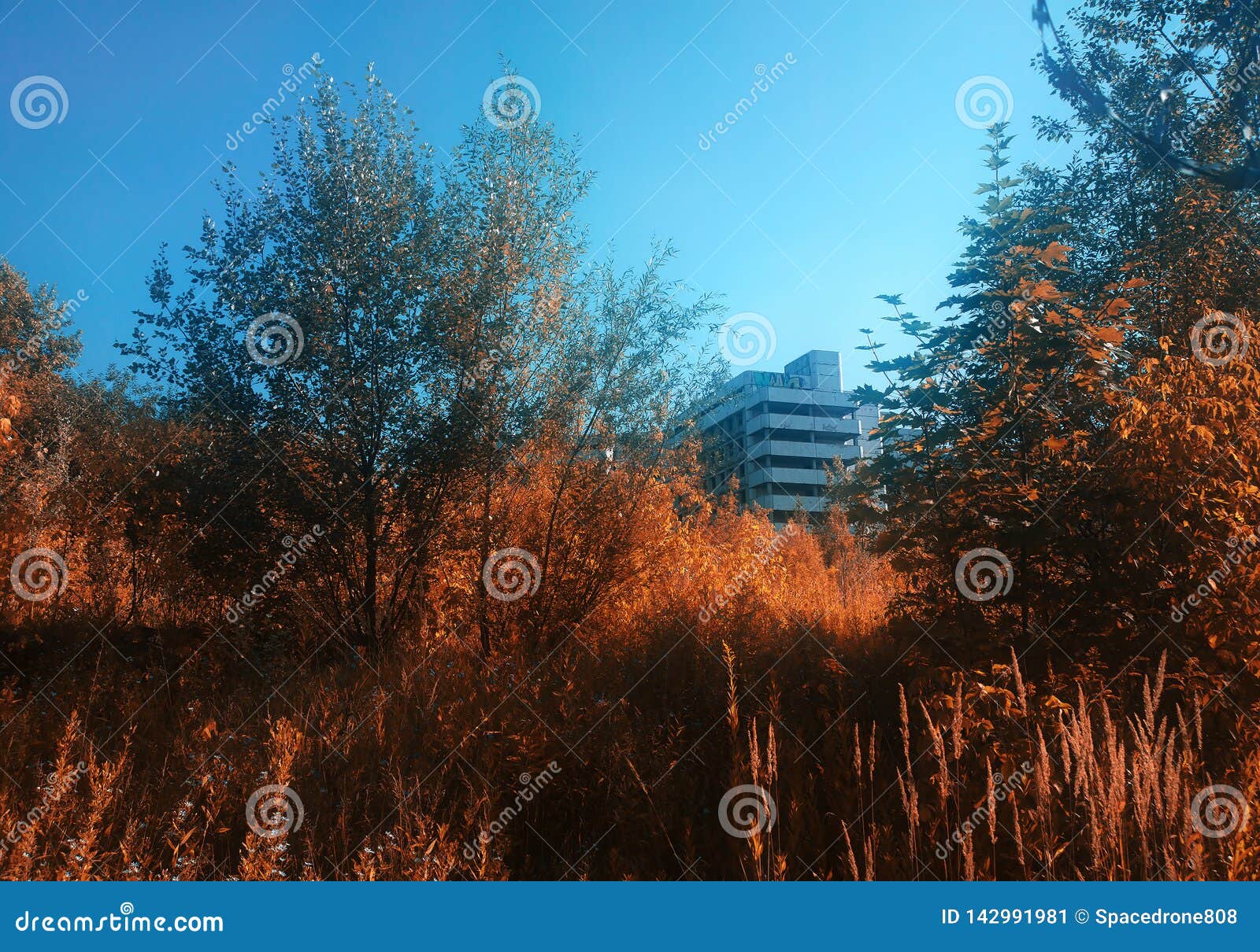 Chernobyl City Road Sign In Exclusion Zone. Radioactive Zone In Pripyat ...