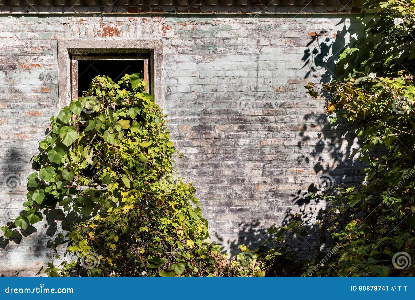 Chernobyl overgrown stock image. Image of alienation - 80878741