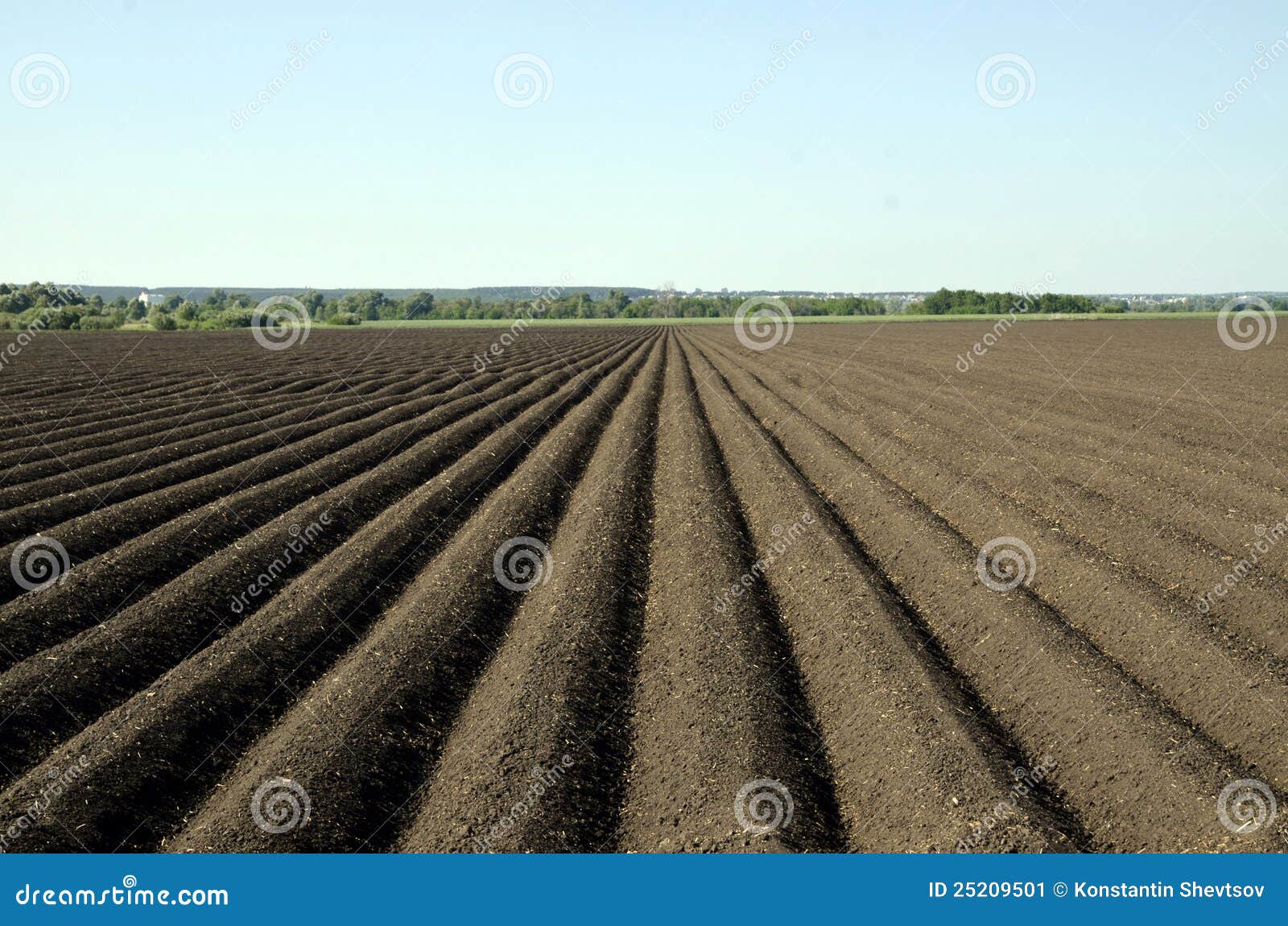 Chernozem field stock image. Image of green, striped - 25209501