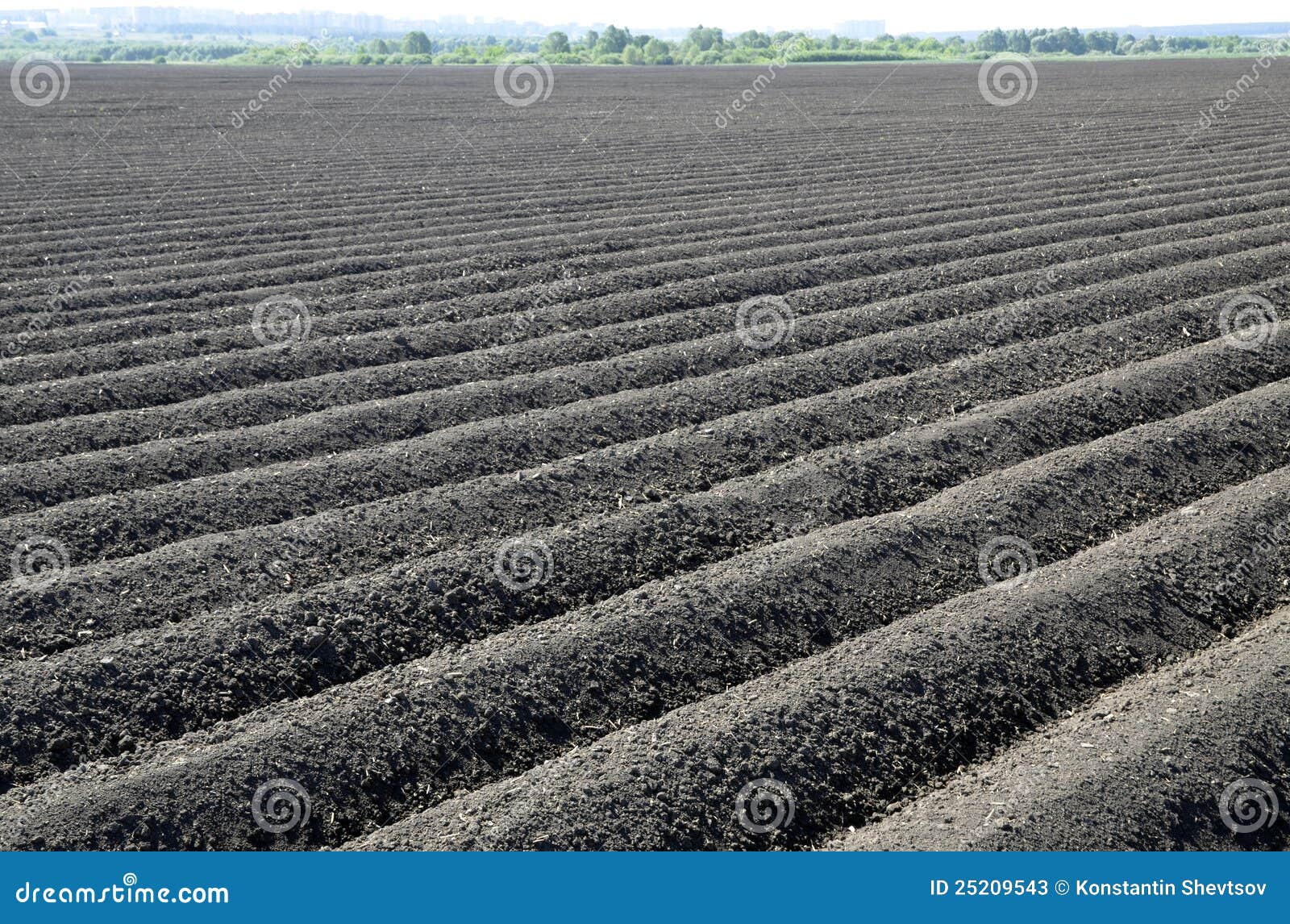 Chernozem field stock image. Image of cultivated, dirt - 25209543