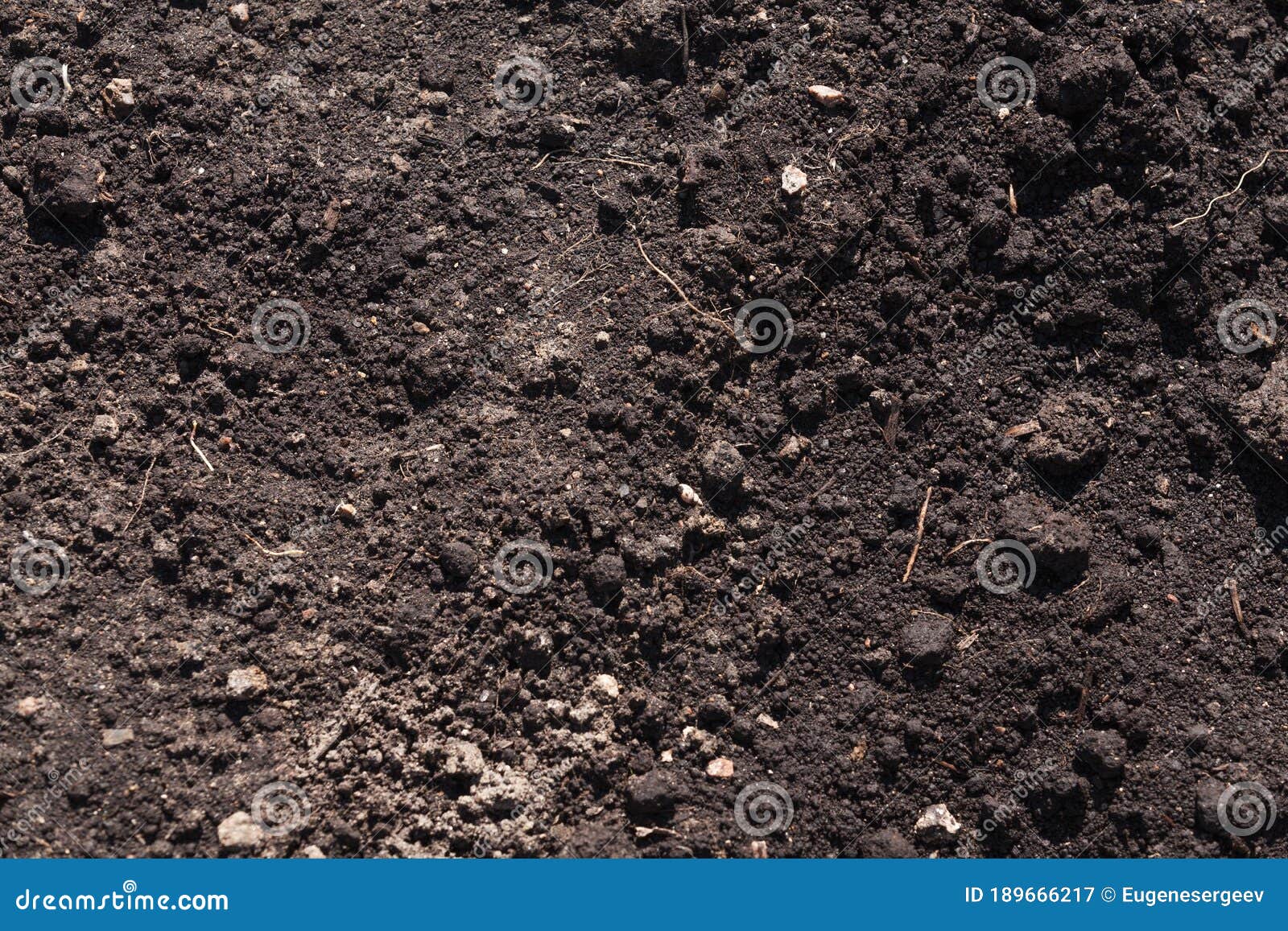 Chernozem Type of Soil, Background Texture Stock Image - Image of ...