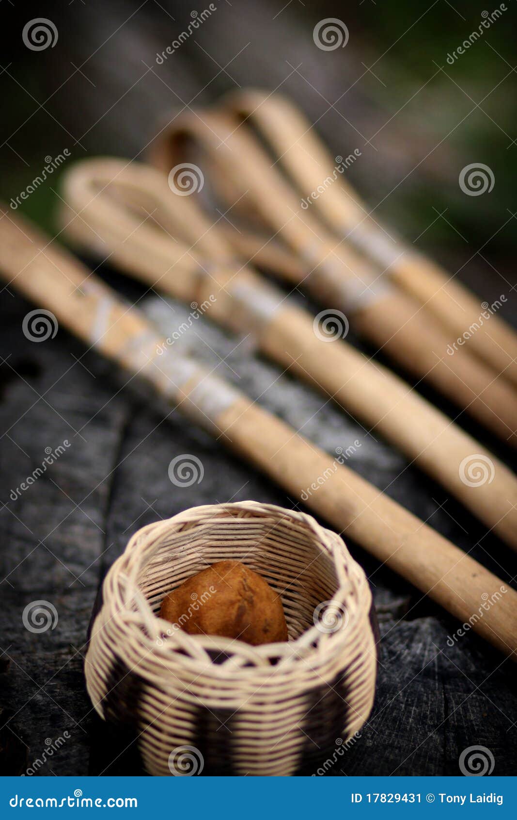 Cherokee Stickball stock image. Image of tribal, native - 17829431