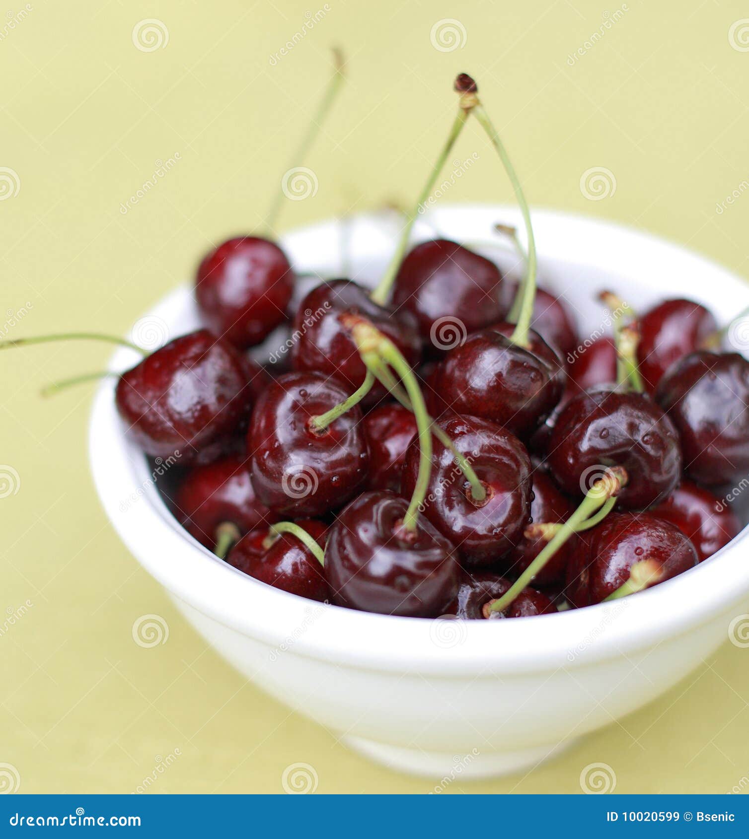 Cherries stock image. Image of isolated, ripe, fresh - 10020599