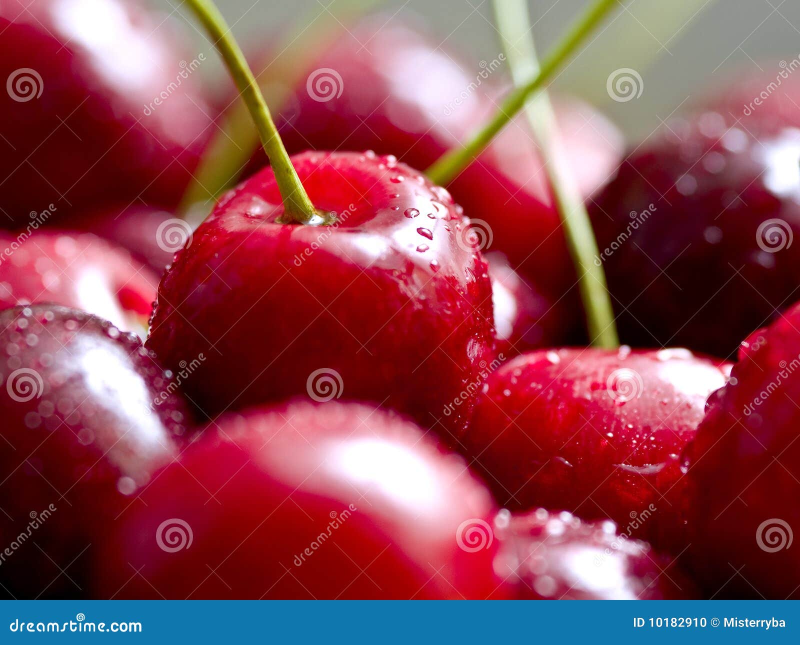 Cherries stock photo. Image of fingers, cherries, woman - 10182910