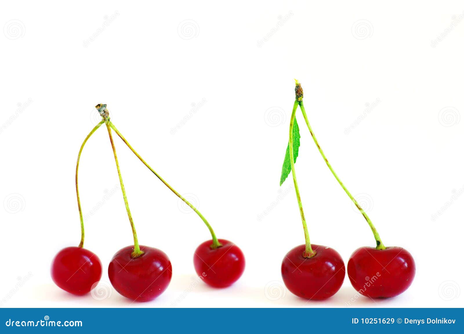 Cherries stock image. Image of gourmet, delicious, dish - 10251629
