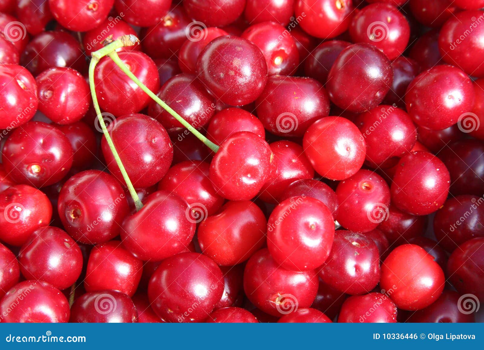 Cherries stock photo. Image of healthcare, fresh, lifestyle - 10336446