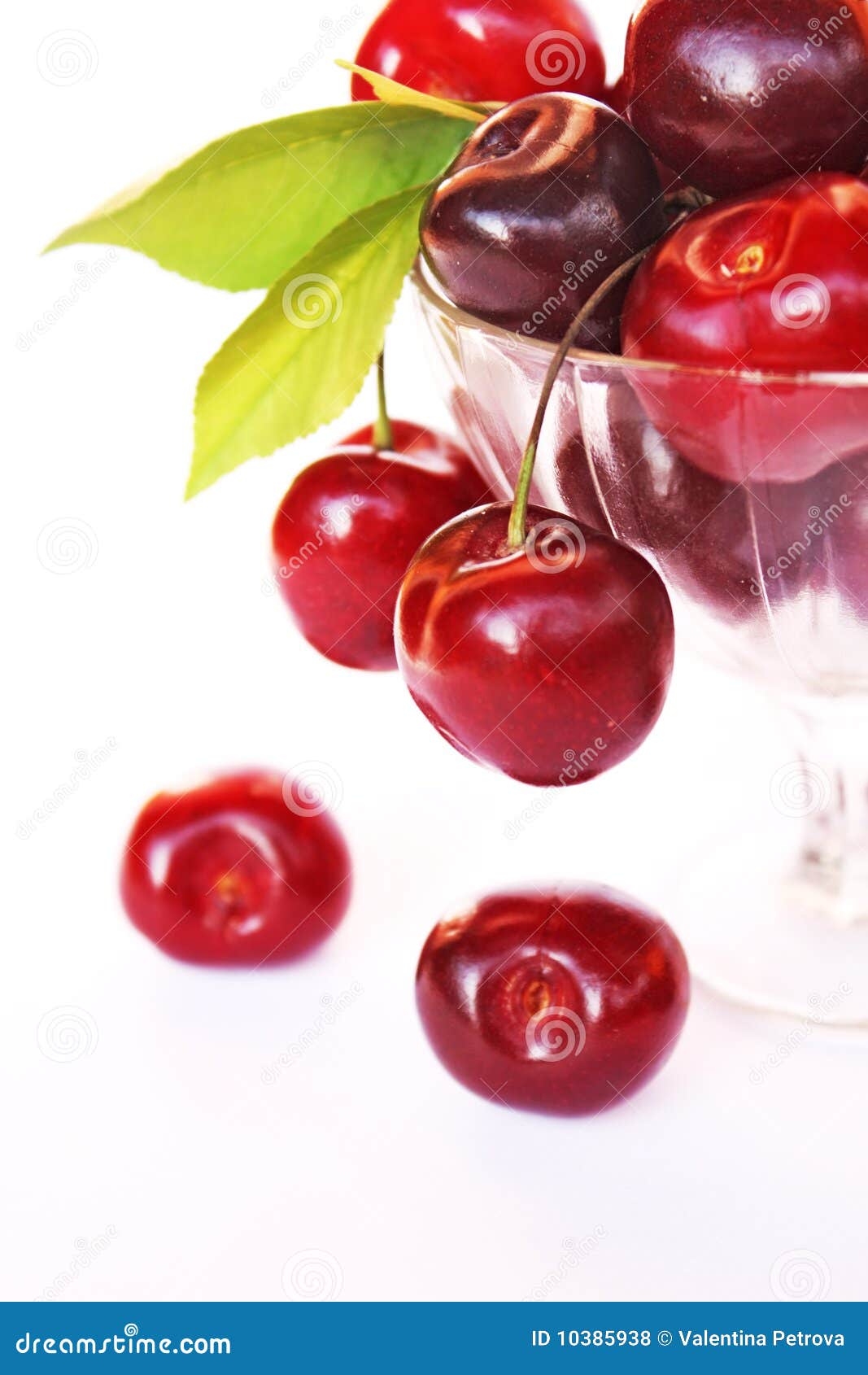 Cherries stock photo. Image of organic, fruit, fresh - 10385938
