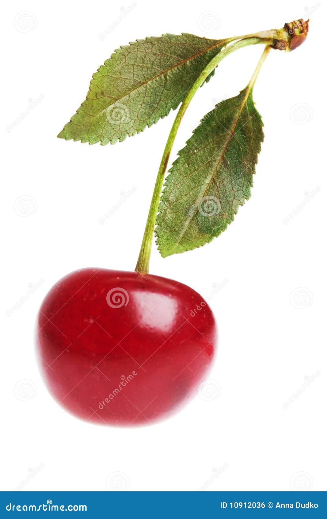 Cherries stock photo. Image of crimson, abstract, details - 10912036