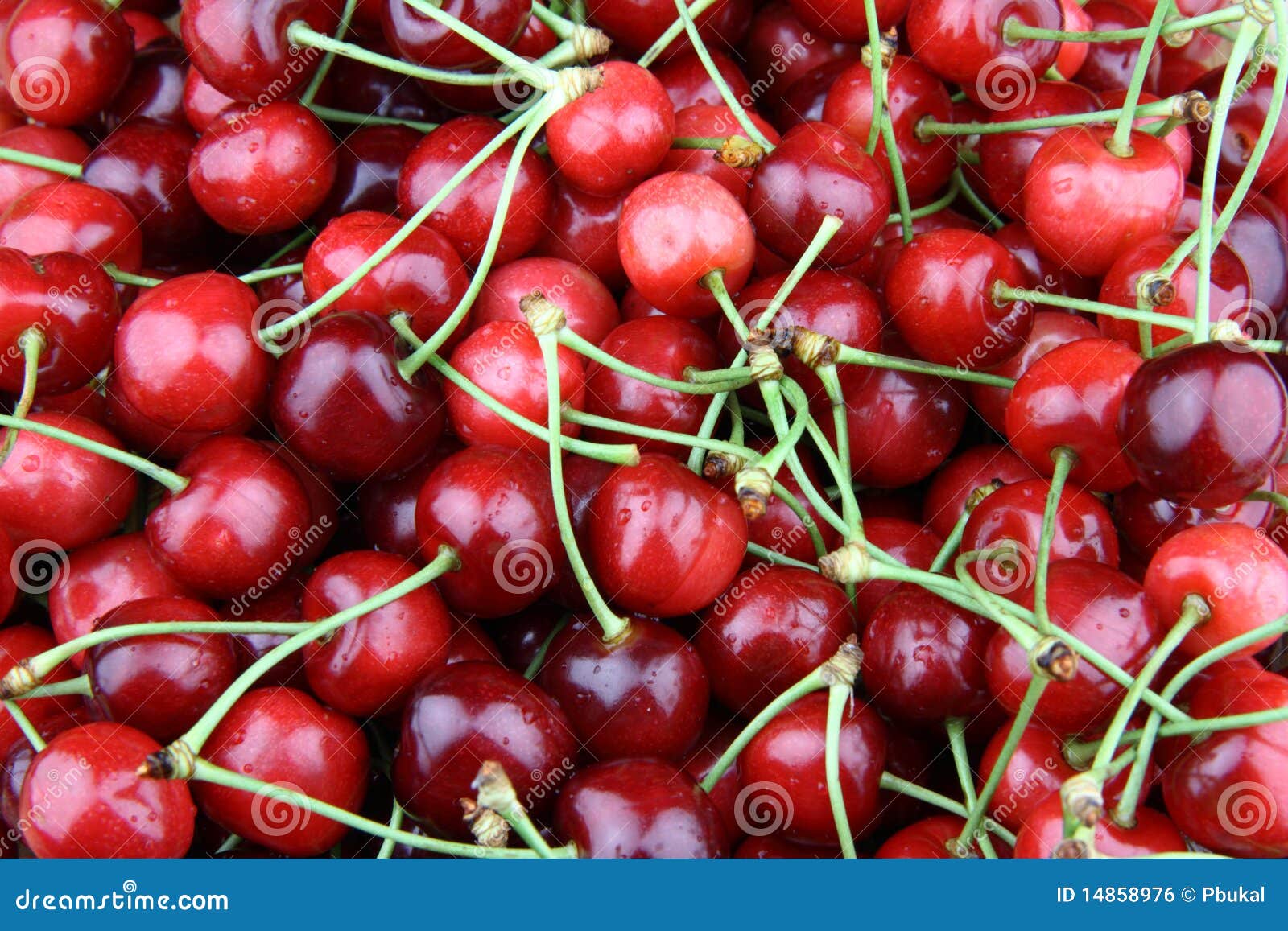 Cherries stock photo. Image of nature, eating, berry - 14858976
