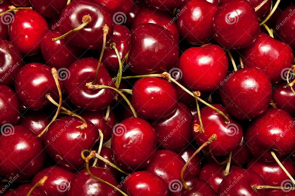 Cherries stock image. Image of summery, food, delicious - 15150377