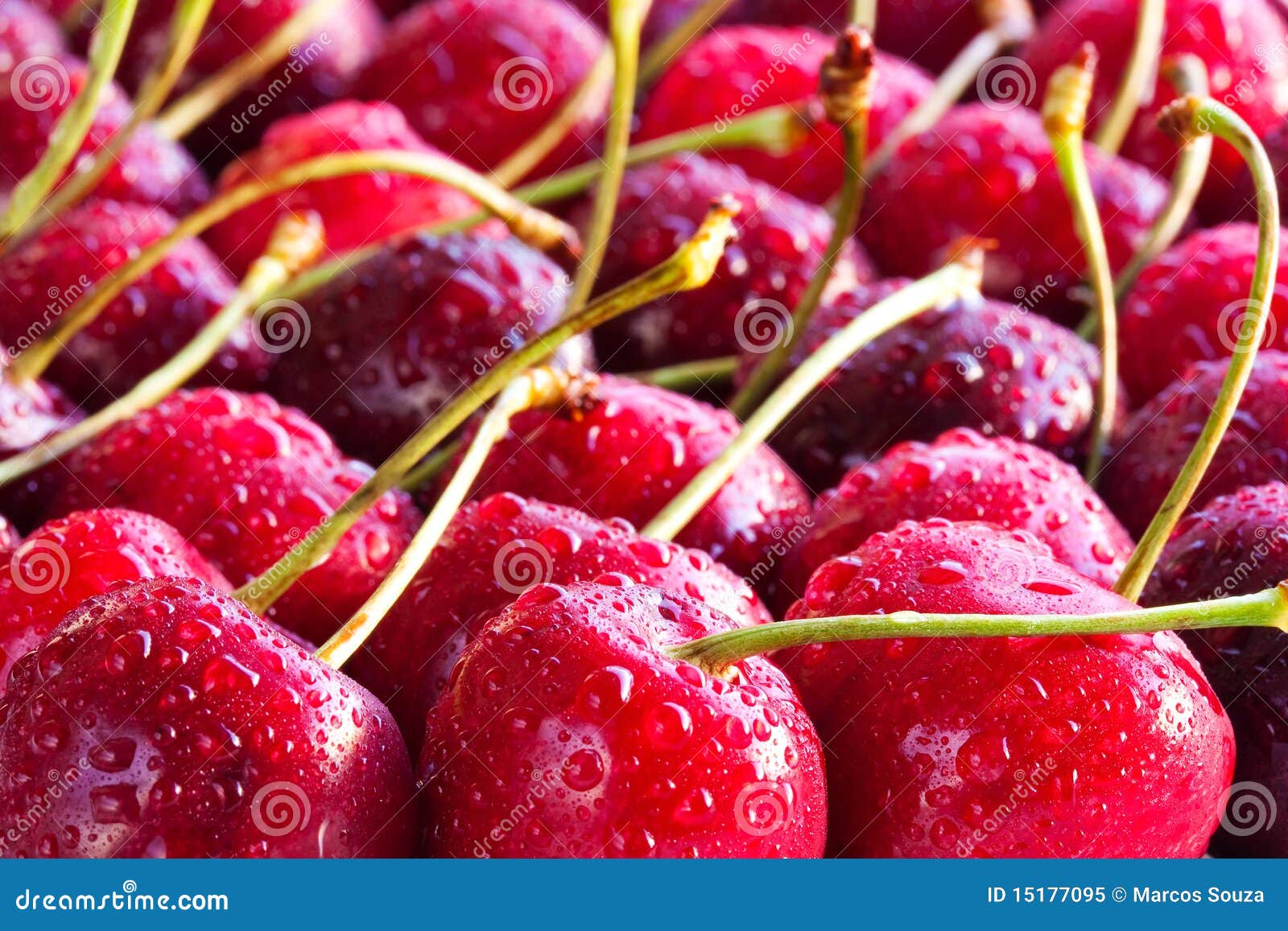Cherries stock image. Image of ingredient, crop, fresh - 15177095