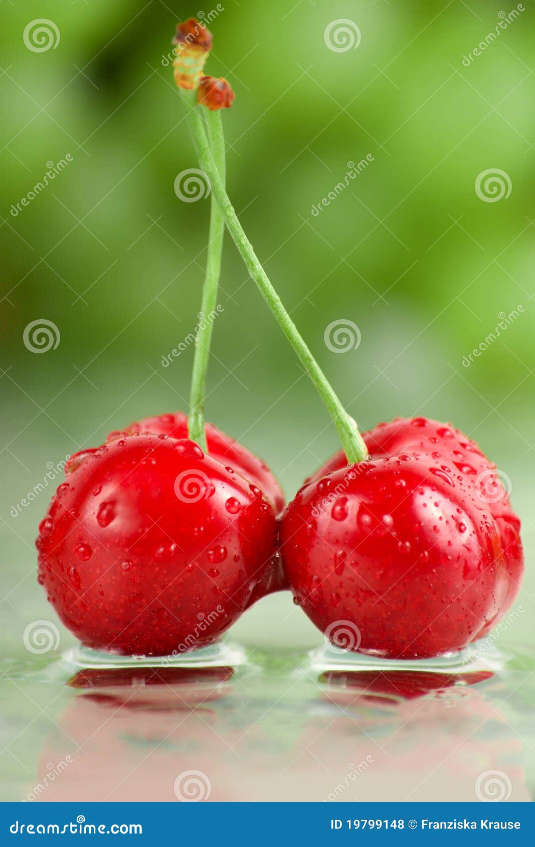 Cherries stock photo. Image of healthy, colourful, drops - 19799148