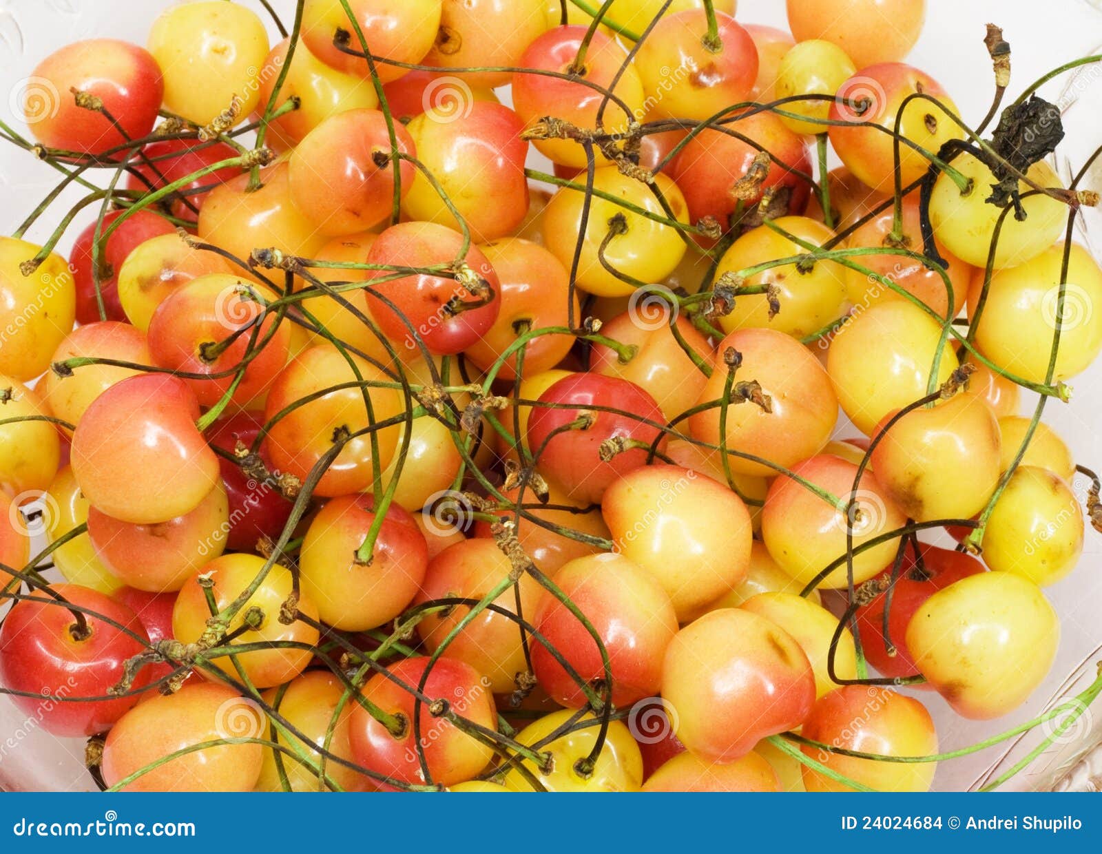 Cherries stock photo. Image of freshness, group, detail - 24024684