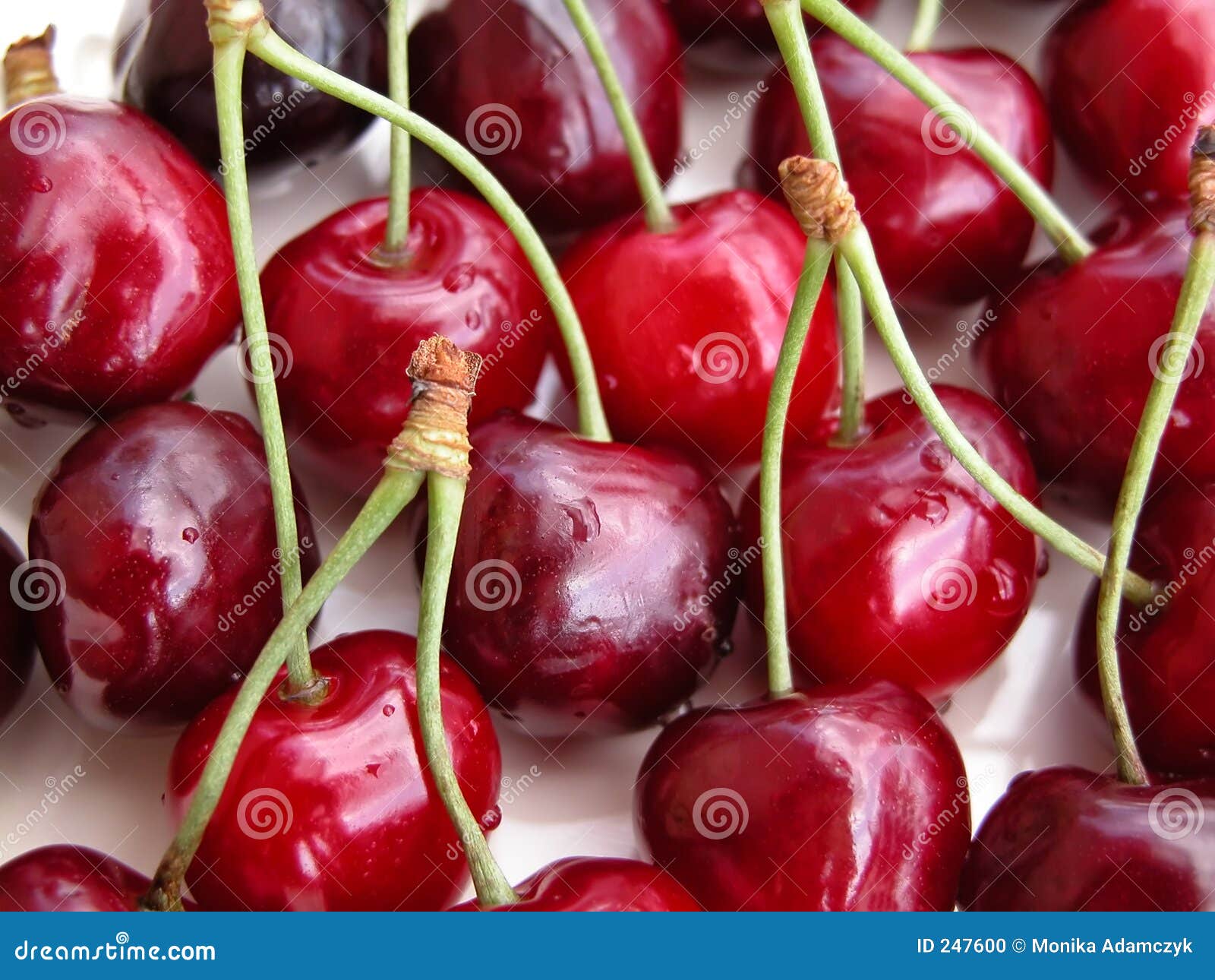 Cherries stock photo. Image of summer, nutrition, summertime - 247600