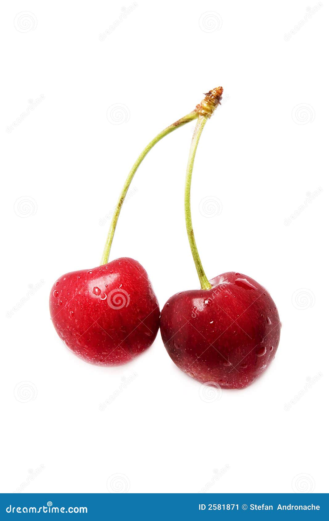 Cherries stock image. Image of small, tasty, summer, food - 2581871