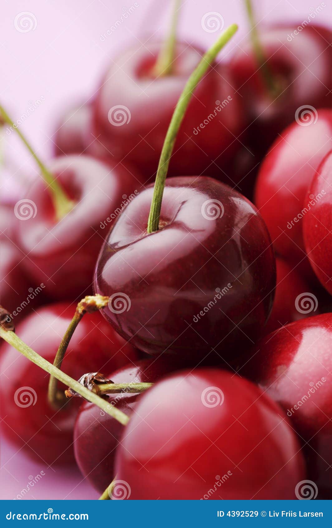Cherries stock image. Image of bunch, closeup, cherry - 4392529