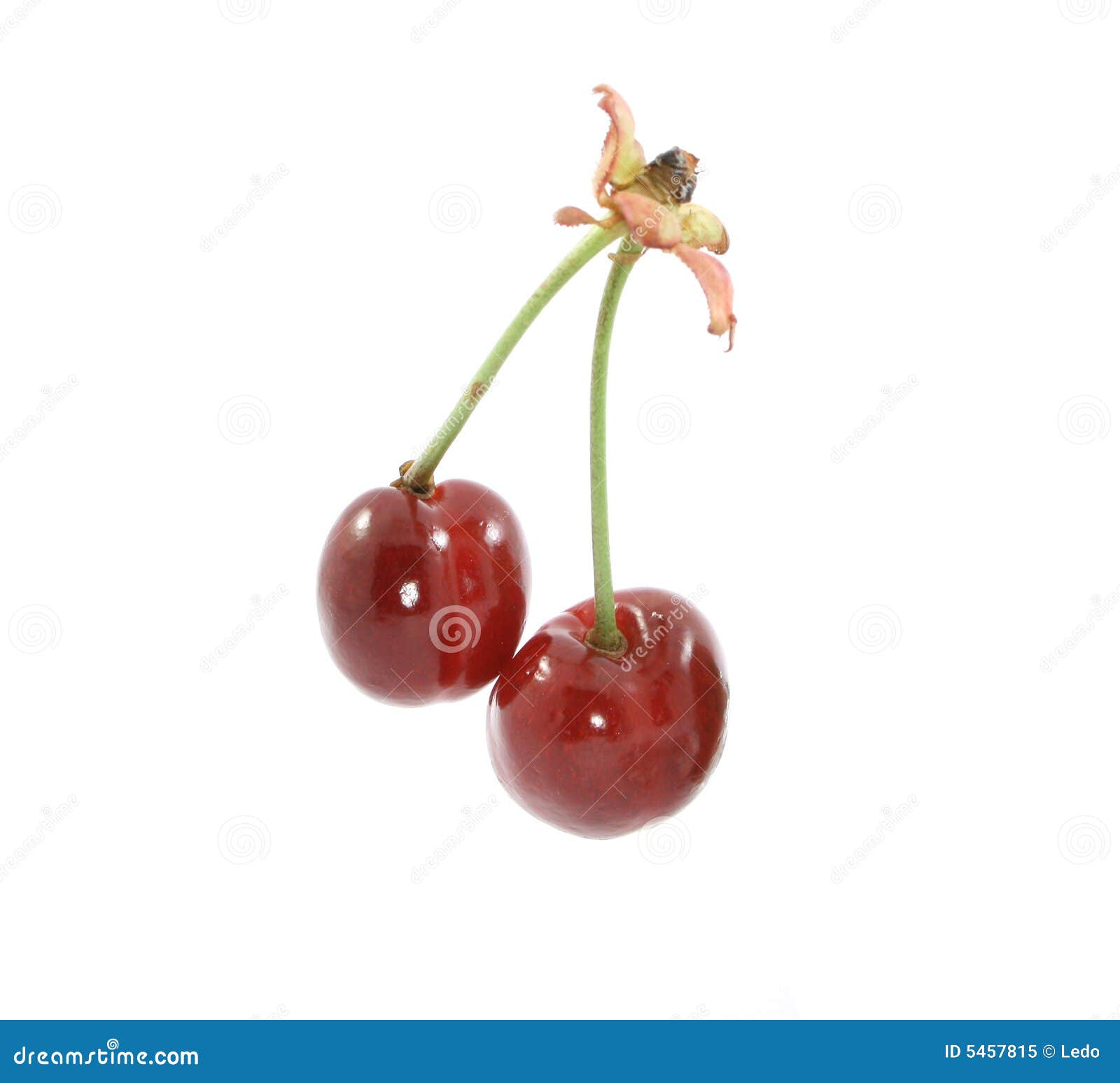 Cherries stock image. Image of pair, fresh, sweet, cherry - 5457815