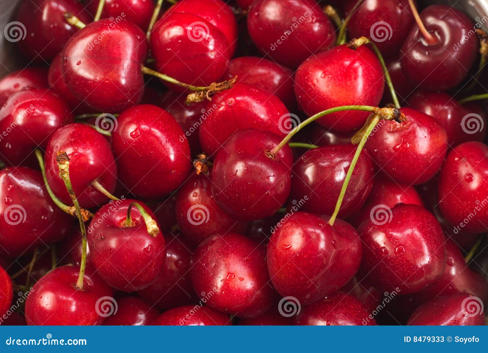 Cherries stock image. Image of adult, complexity, branch - 8479333