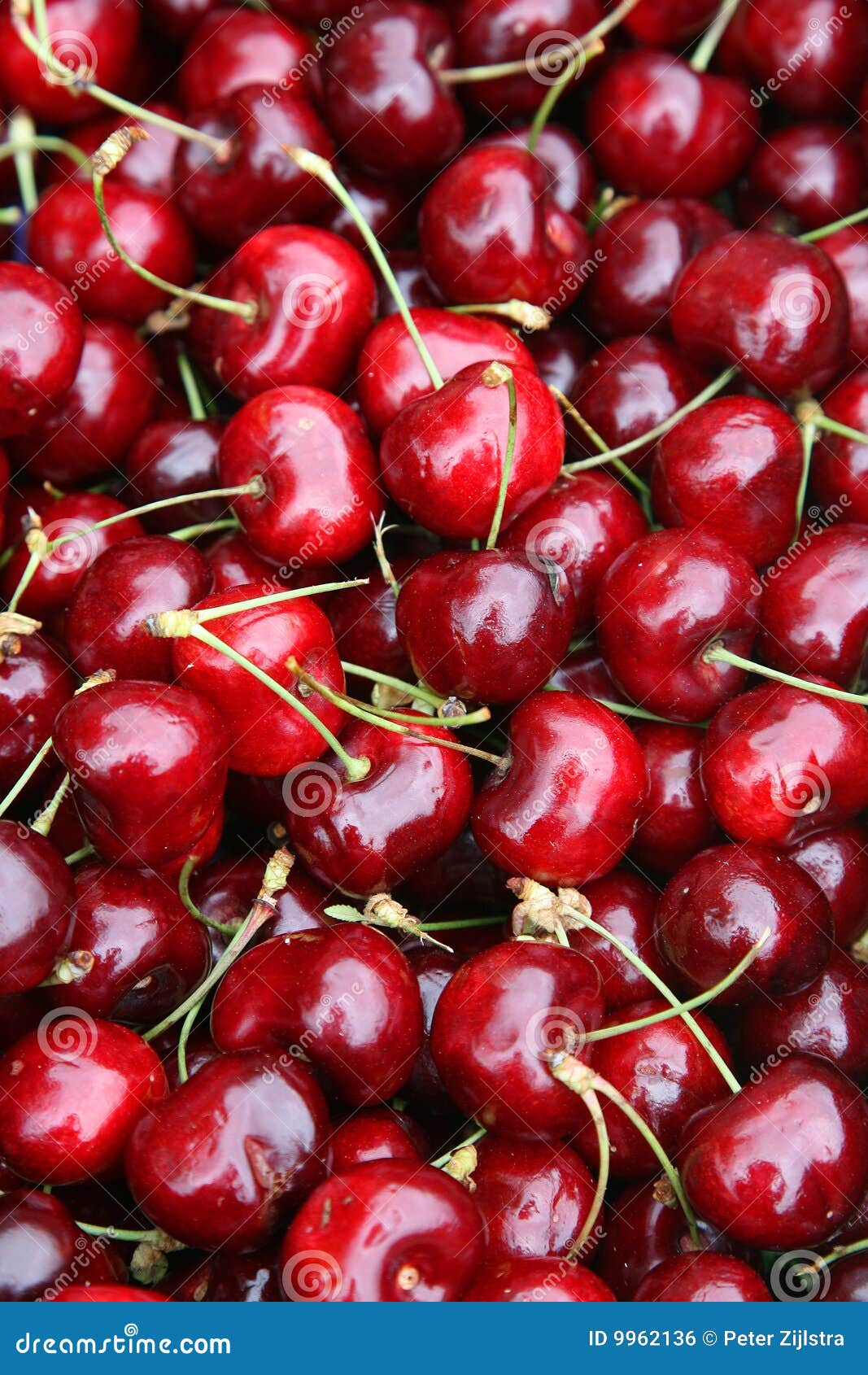 Cherries stock photo. Image of shiny, fruit, detail, lots - 9962136