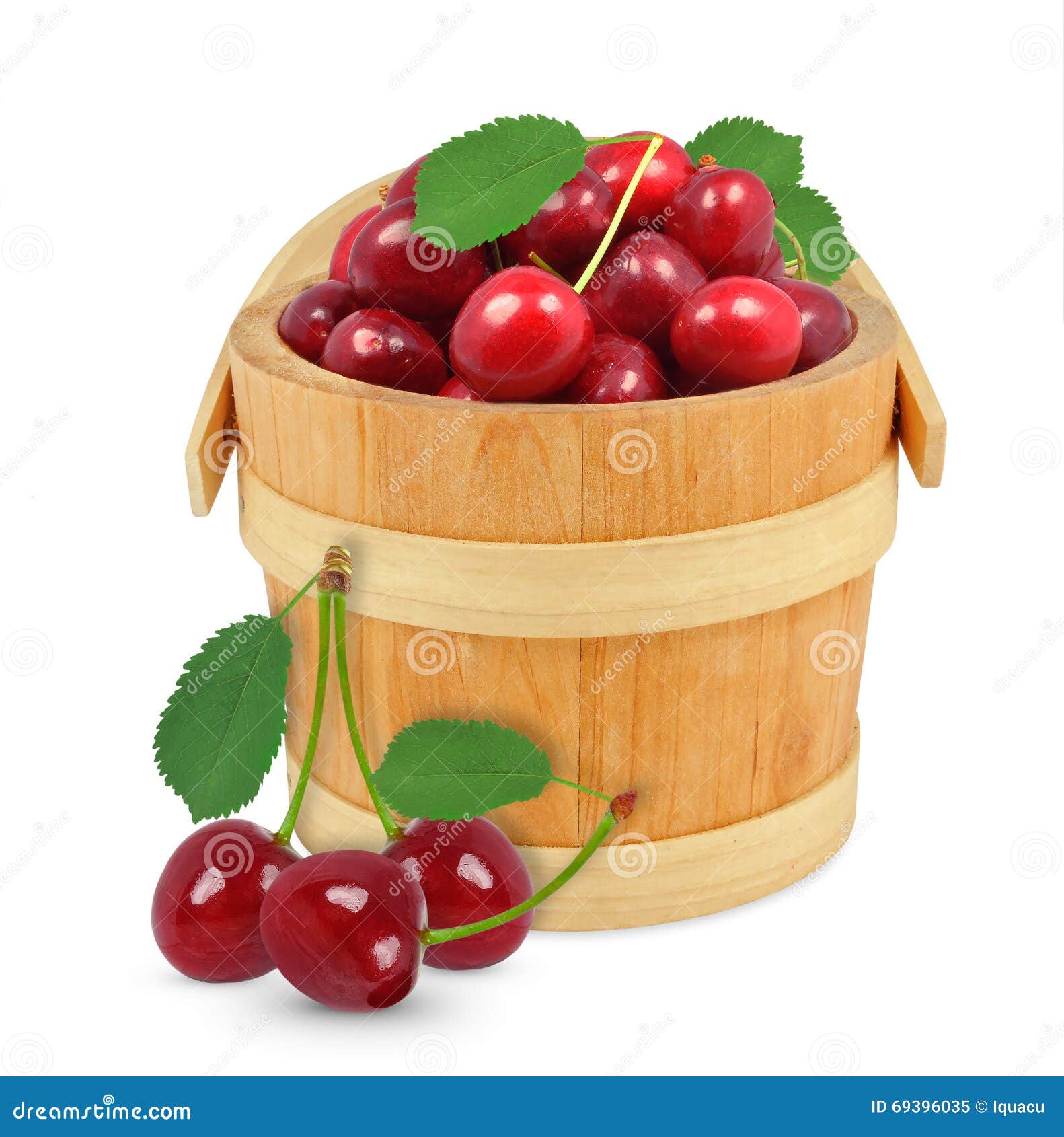 Cherries in a bucket stock image. Image of gourmet, delicious - 69396035