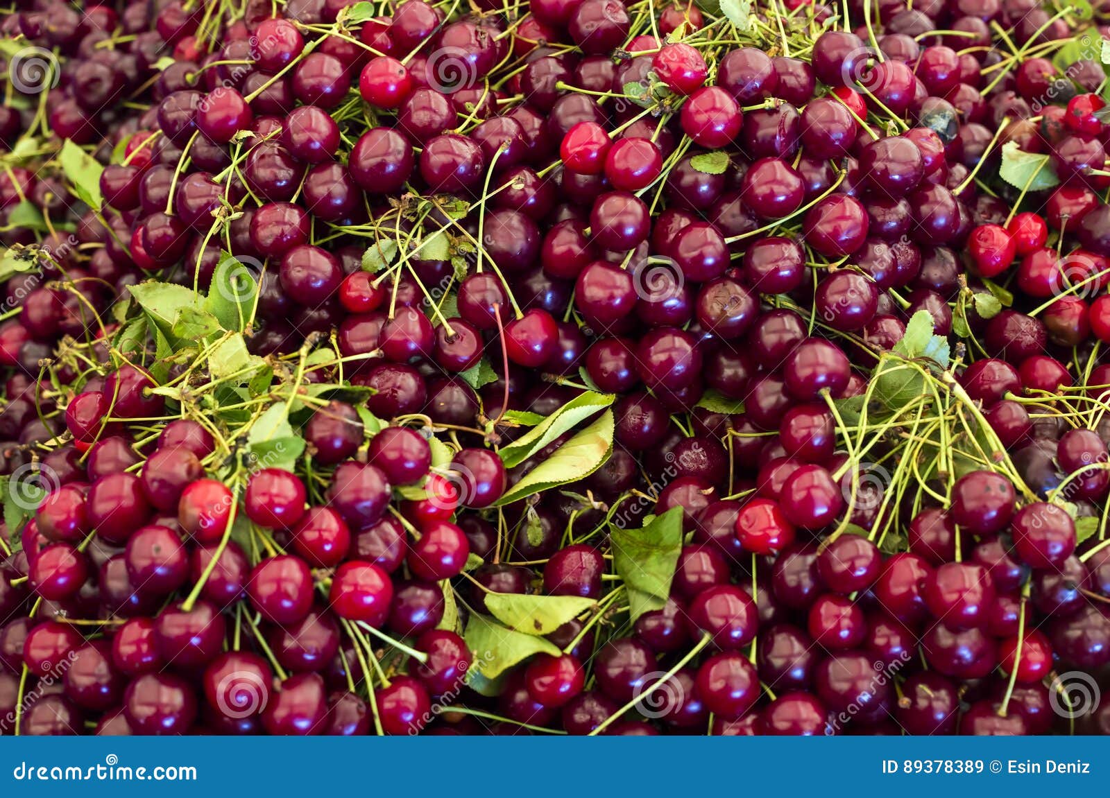 Cherries stock image. Image of tasty, food, fruits, nature - 89378389