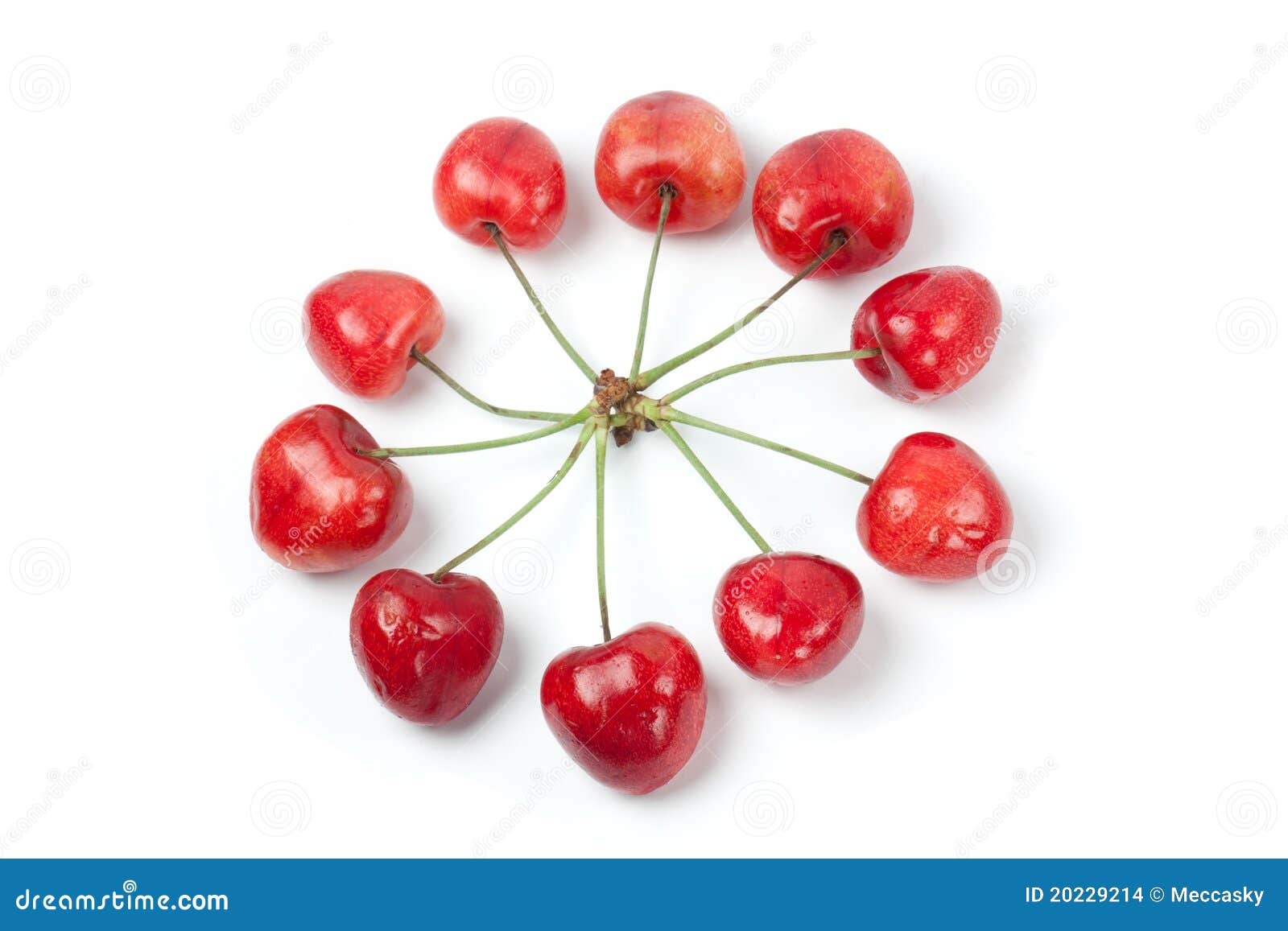 Cherries in circle shape stock photo. Image of garden - 20229214