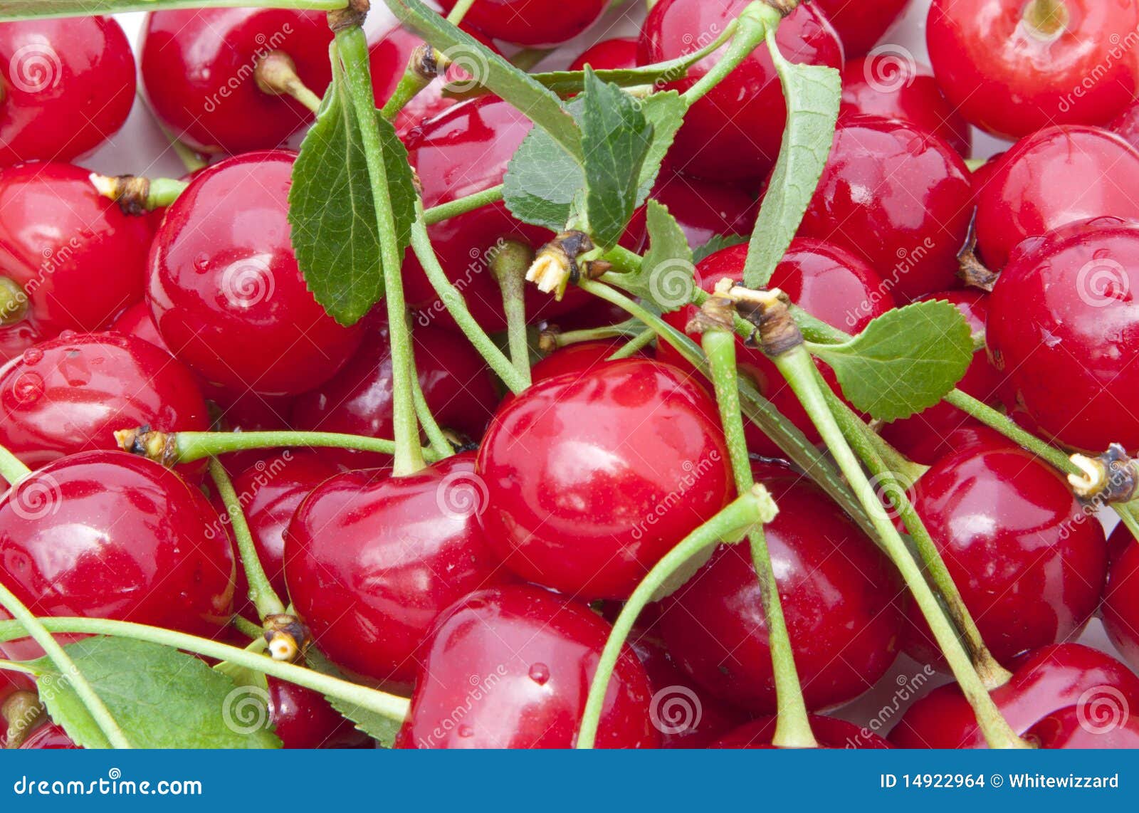Cherries close up stock photo. Image of food, closeup - 14922964