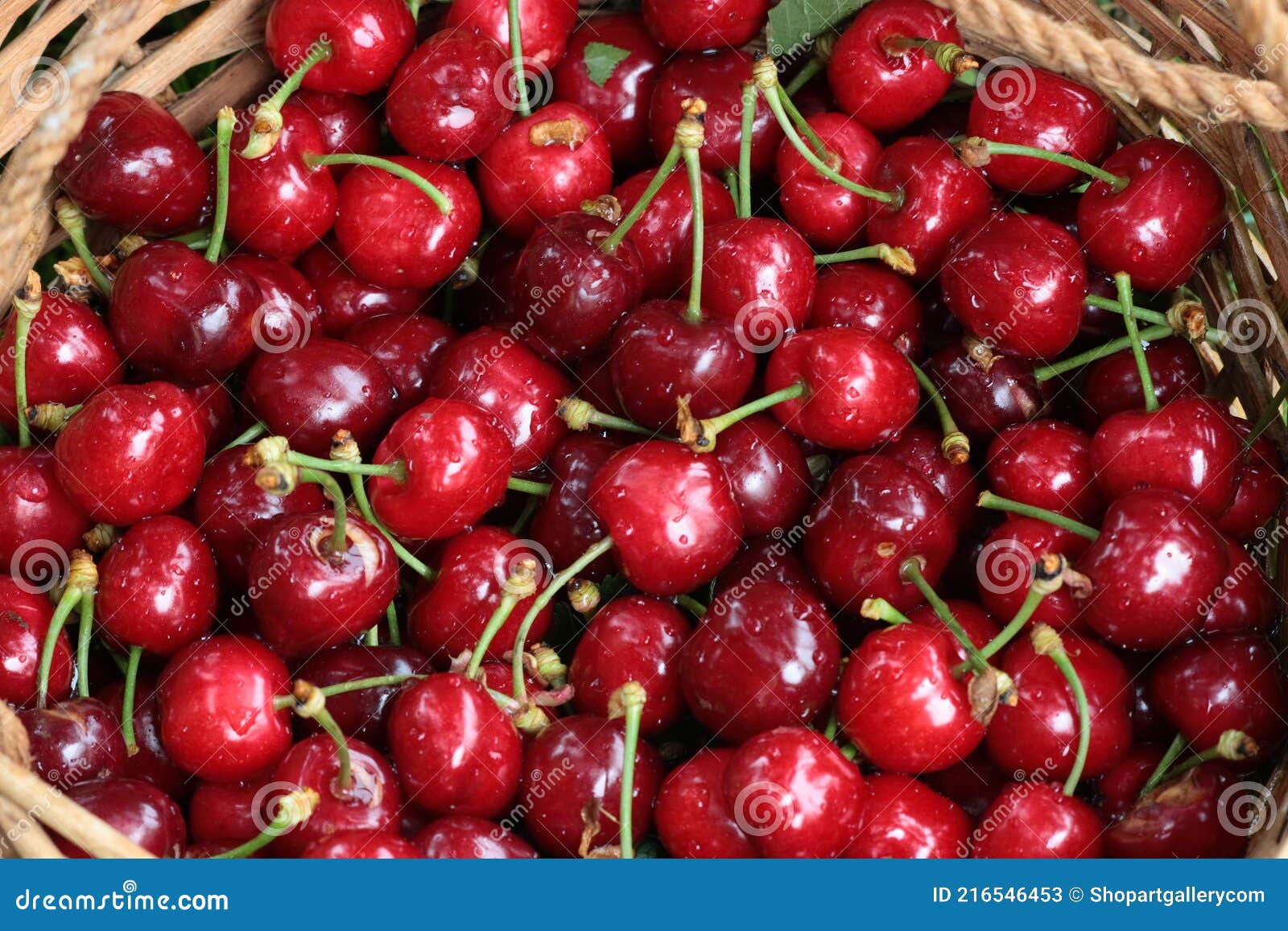 Cherries closeup stock image. Image of cherry, fresh - 216546453
