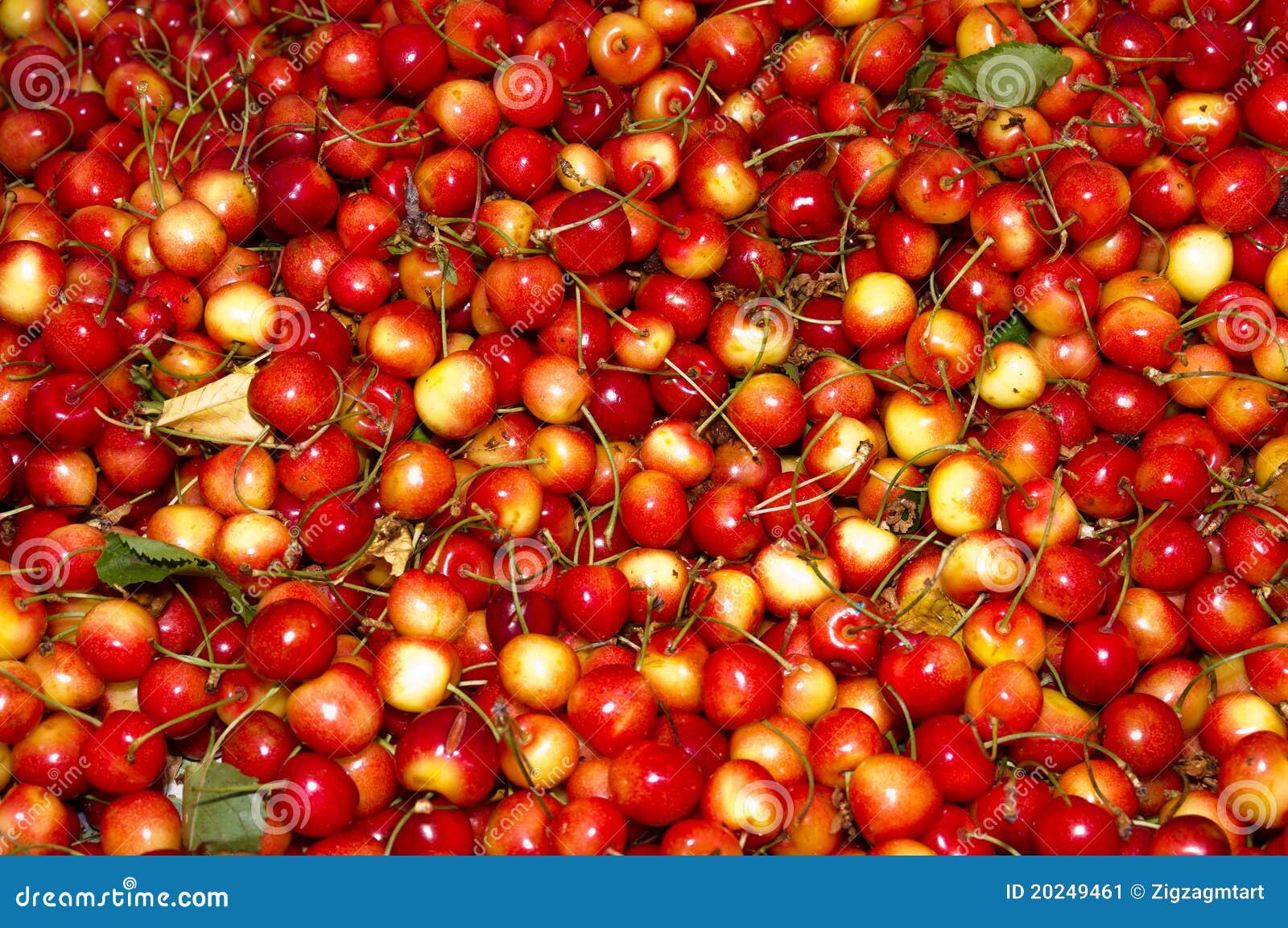Cherries on display stock image. Image of sweet, food - 20249461