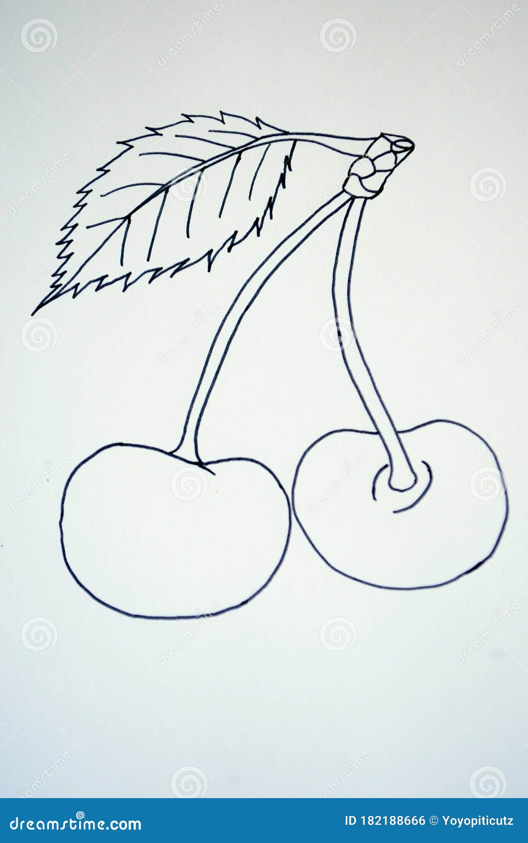 Cherries Drawing Black and White Stock Photo - Image of drawing, draw ...