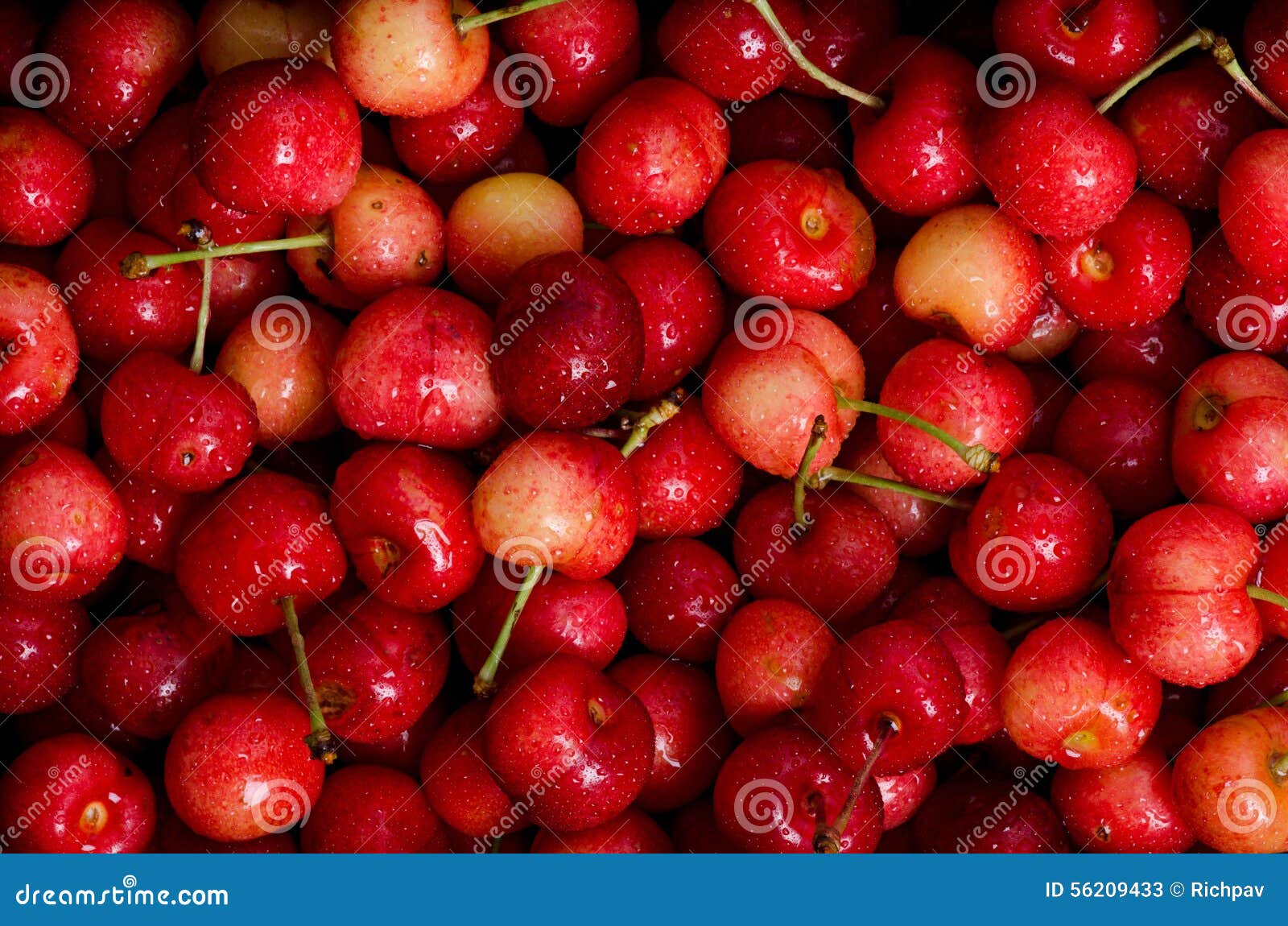 Cherries stock image. Image of juicy, food, shape, health - 56209433