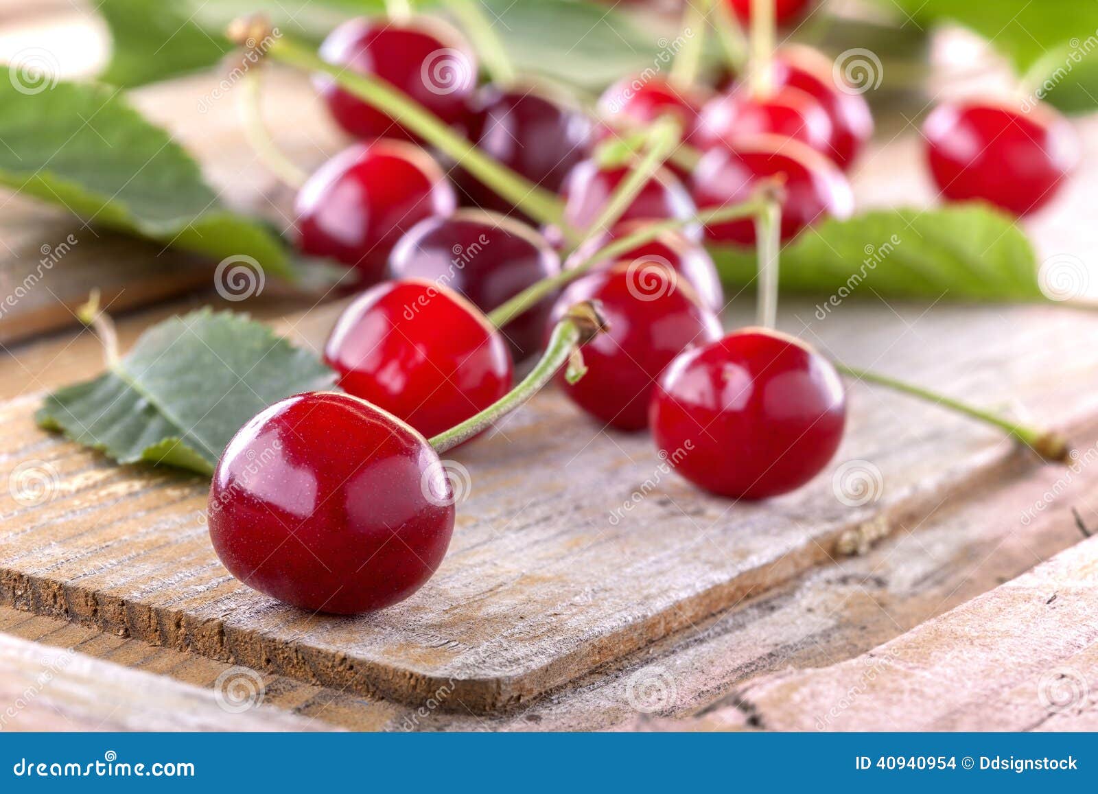 Cherries stock photo. Image of local, green, group, orchards - 40940954