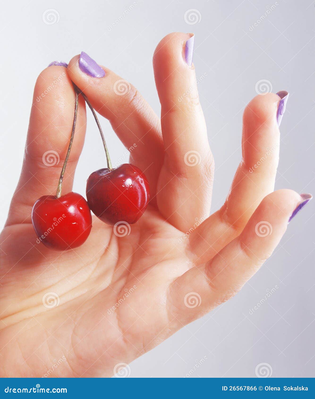 Cherries in hand stock photo. Image of fruit, shiny, nails - 26567866