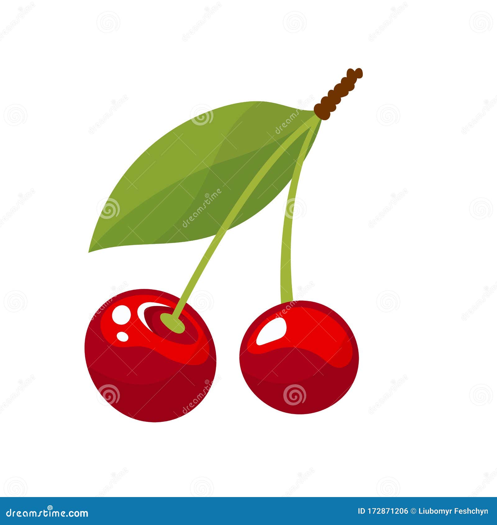 Cherries Illustration - Pair of Cherries with Stems and Leaves Isolated ...