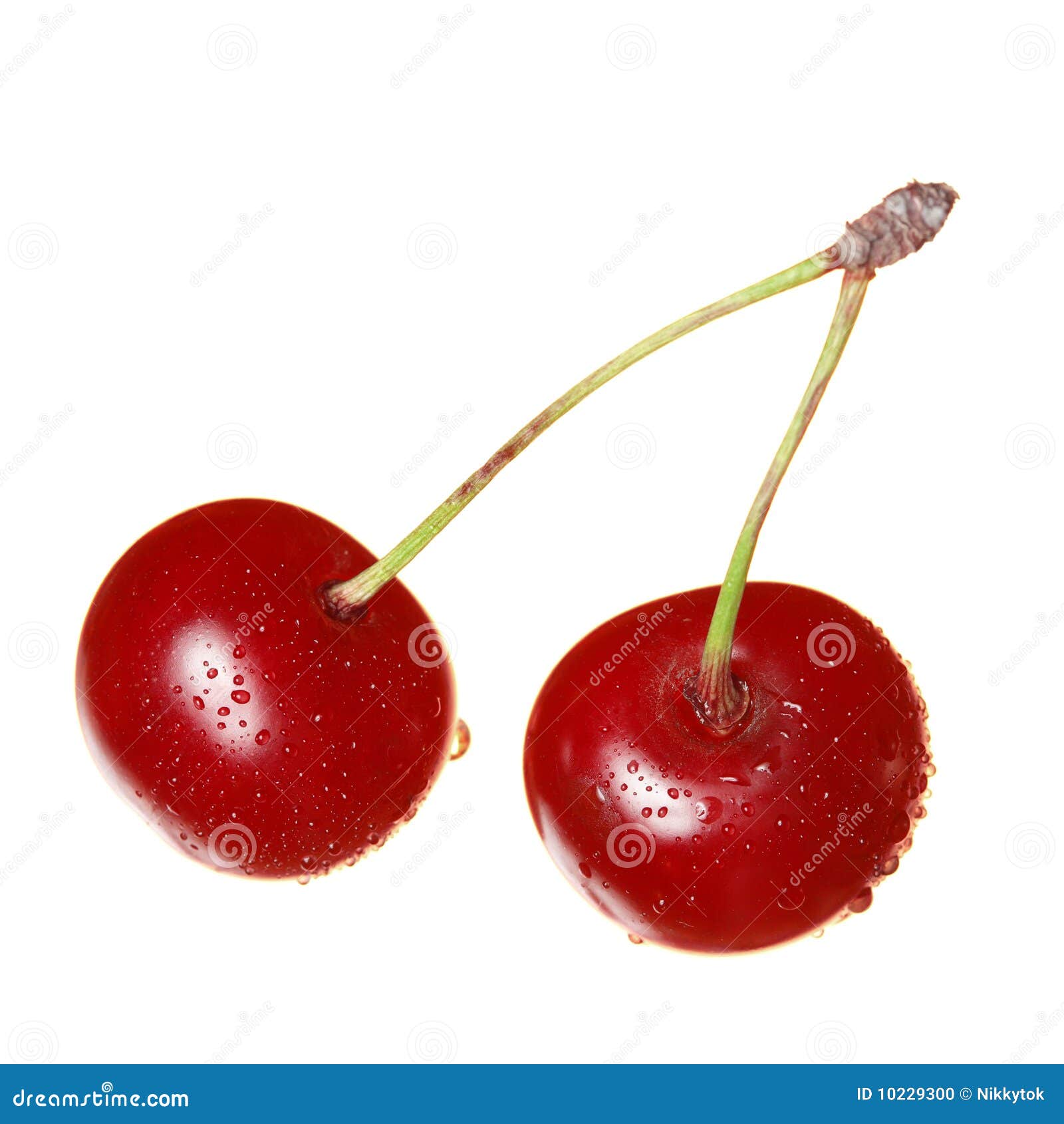 Cherries isolated on white stock photo. Image of macro - 10229300