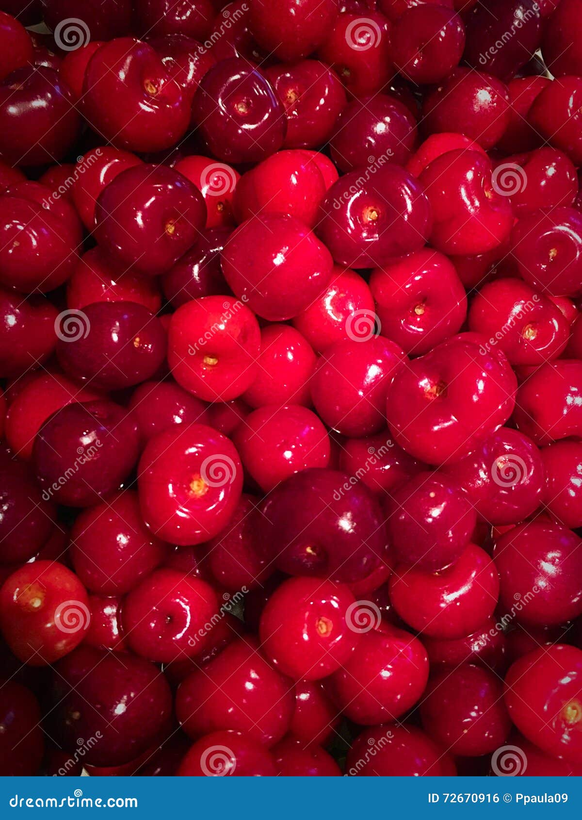 Cherries stock photo. Image of real, cherries, tasty - 72670916