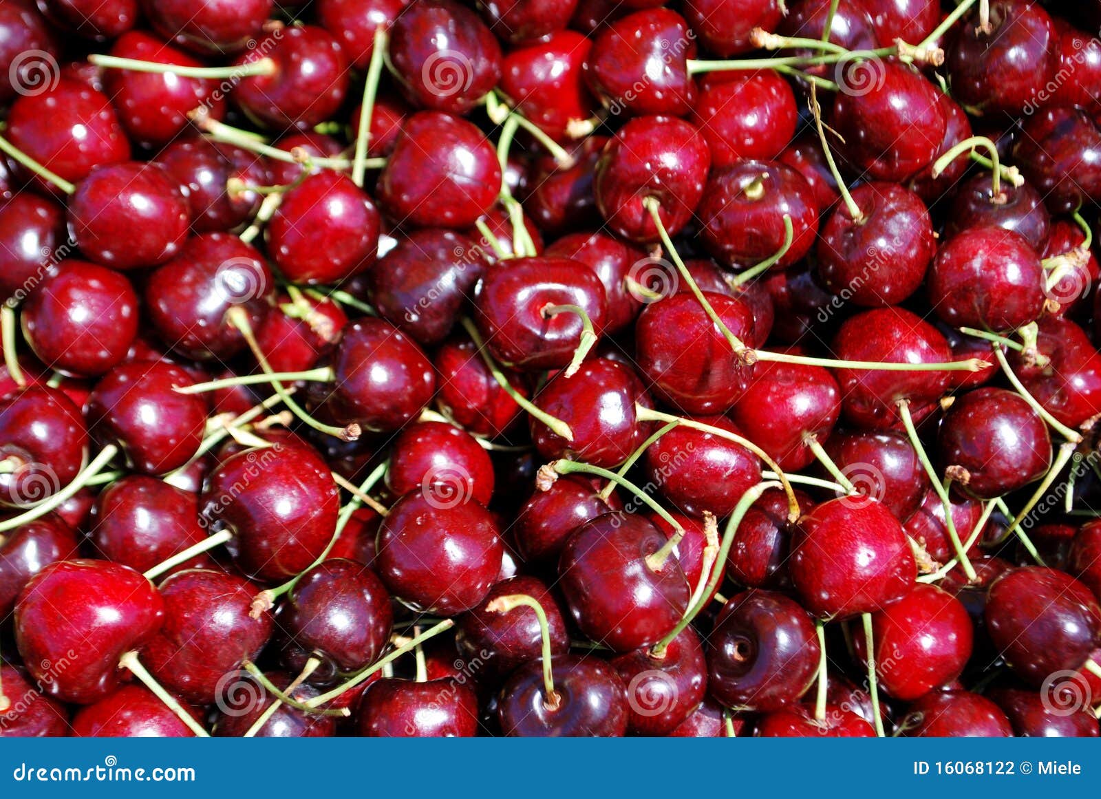 Cherries texture stock photo. Image of health, background - 16068122