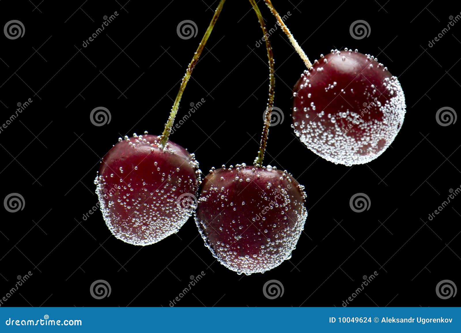 Cherries in water closeup stock photo. Image of clear - 10049624