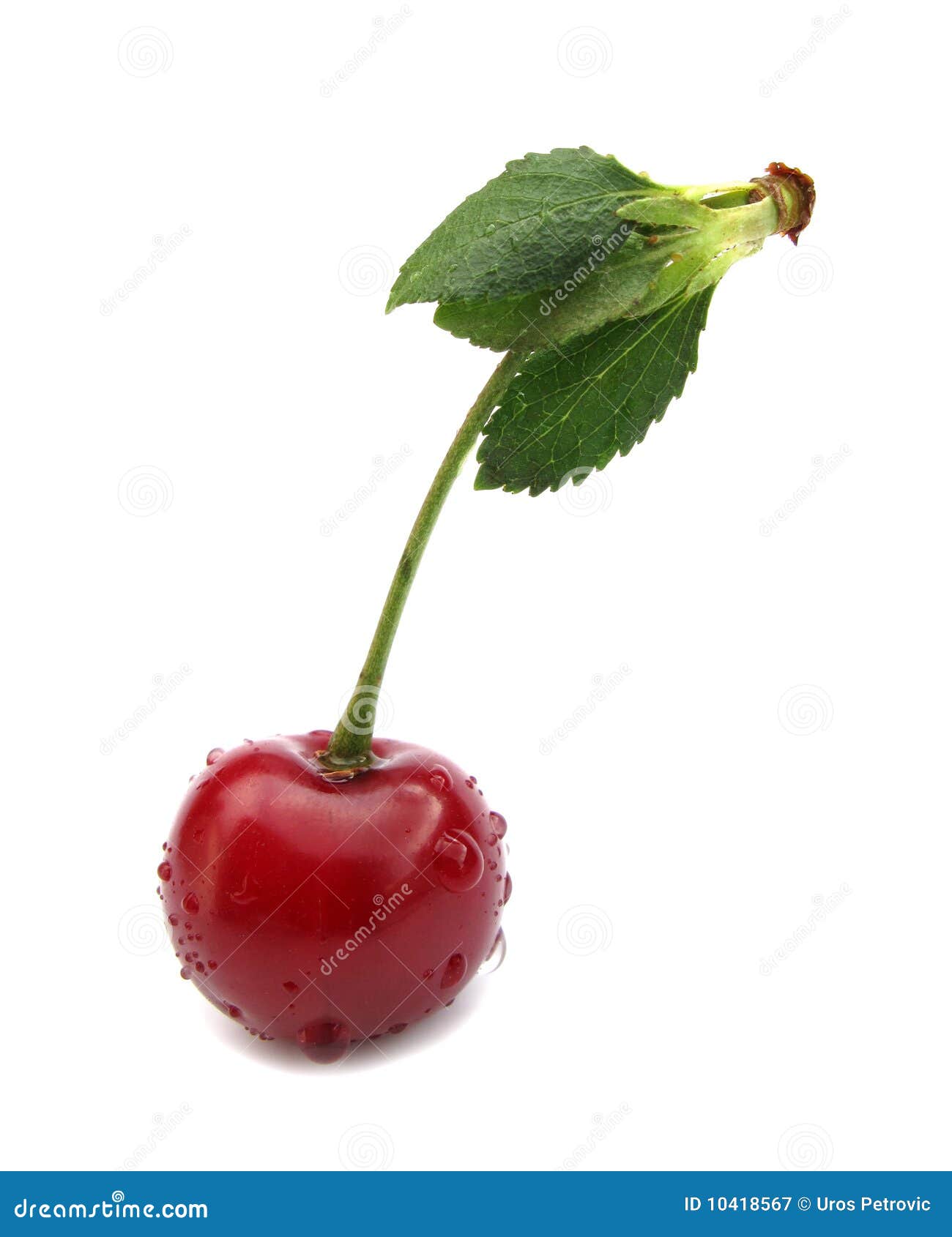 Cherry stock image. Image of nice, isolated, fruit, fresh - 10418567