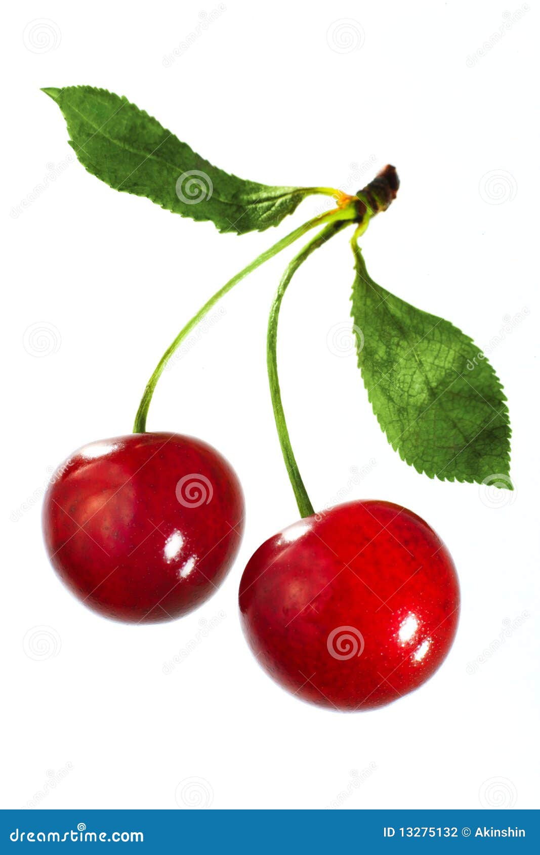 Cherry stock photo. Image of ripe, bright, sweet, food - 13275132