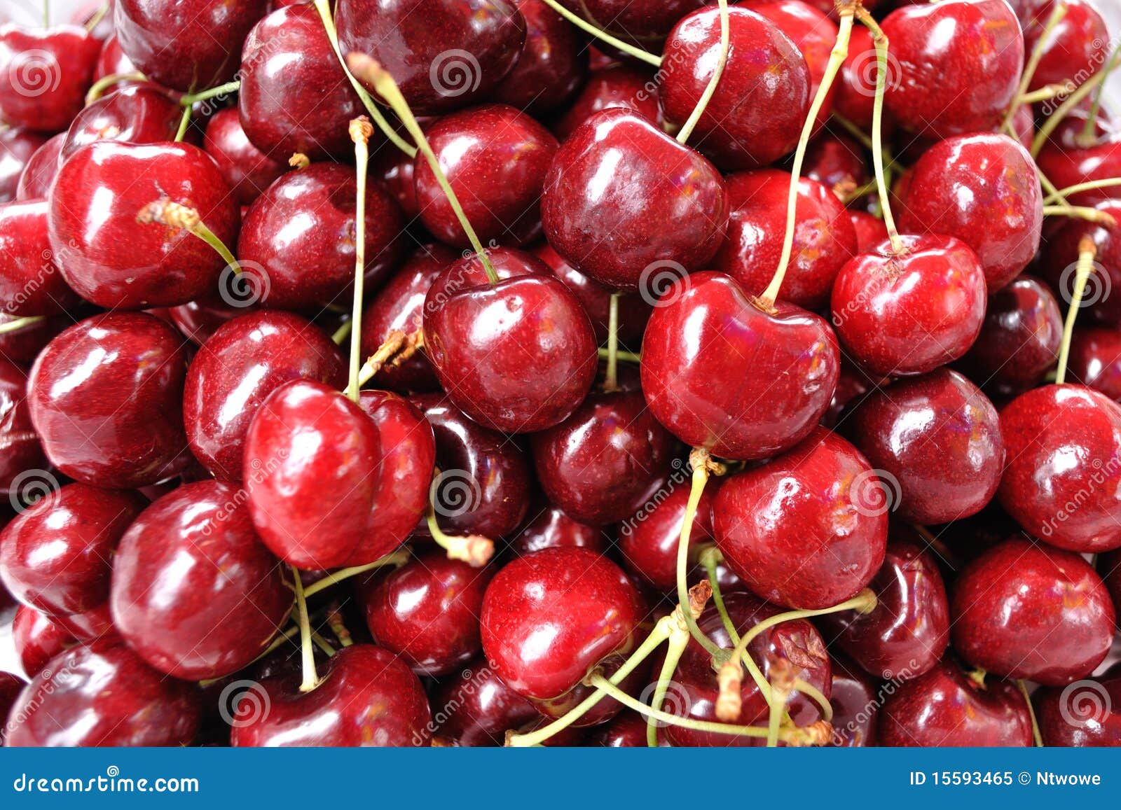 Cherry stock image. Image of cherry, organic, fresh, natural - 15593465