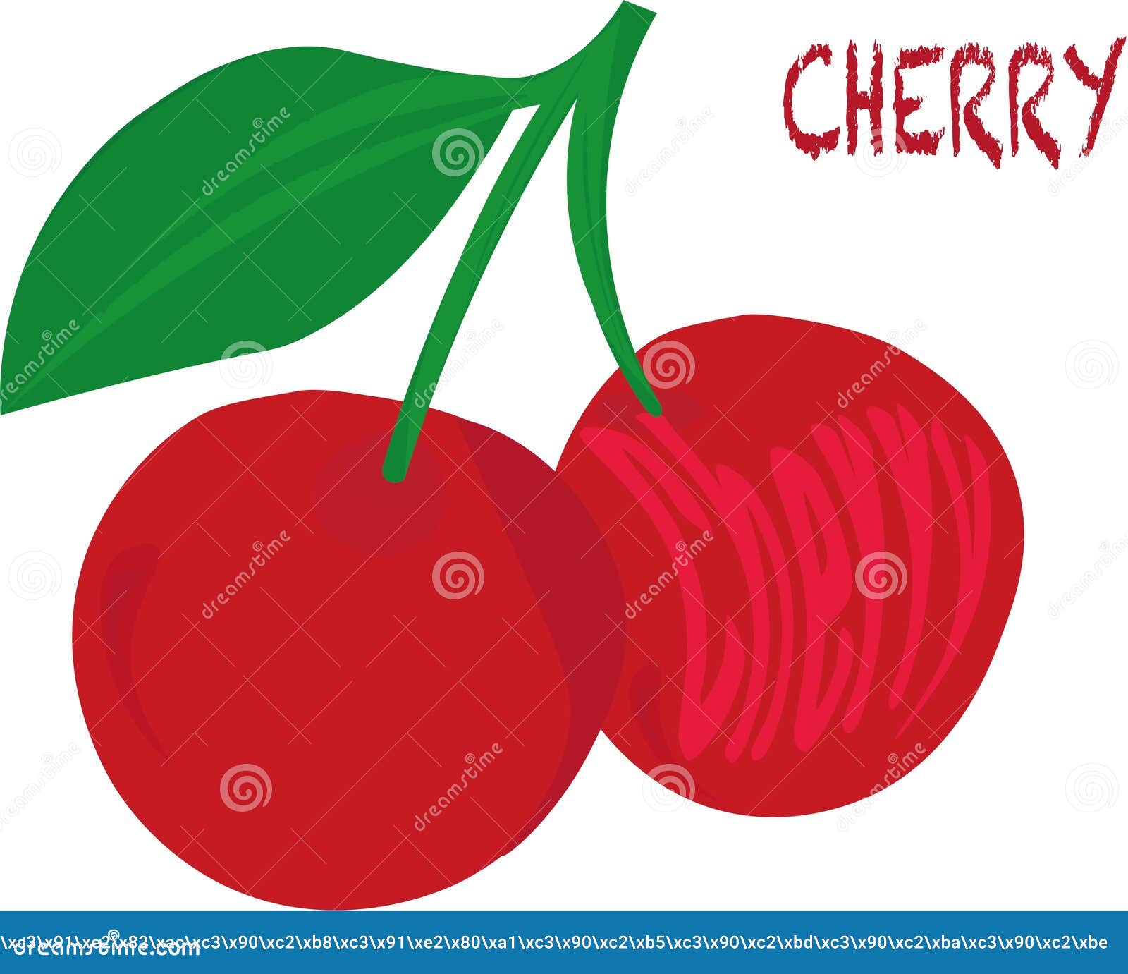 Ripe cherry stock illustration. Illustration of vector - 251407401
