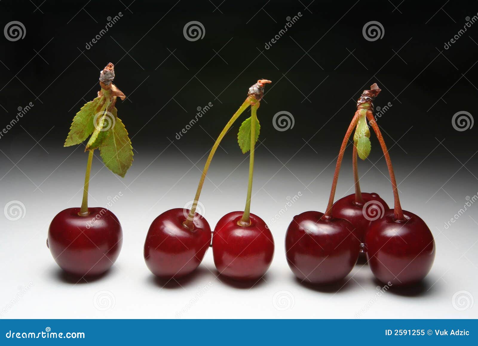 Cherry stock image. Image of detail, figure, shape, green - 2591255