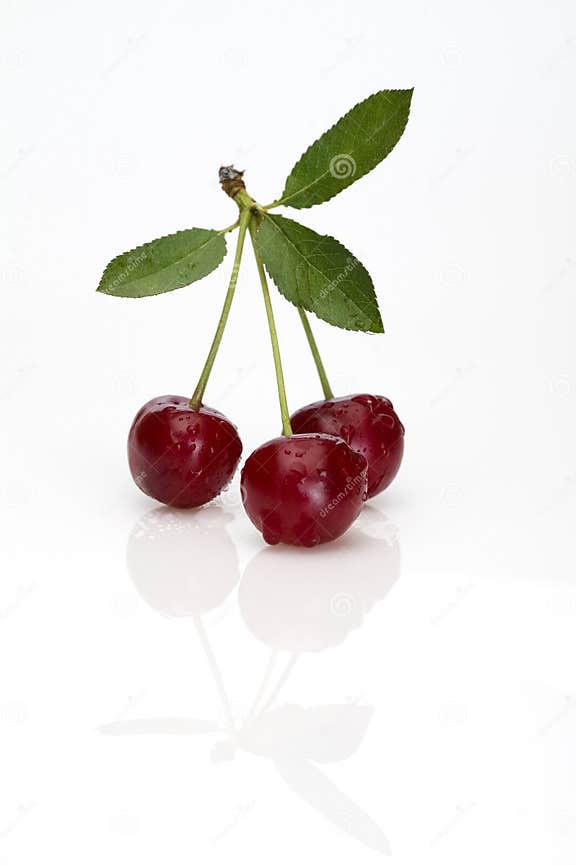 Cherry stock photo. Image of reverberation, leaf, cooking - 2880396
