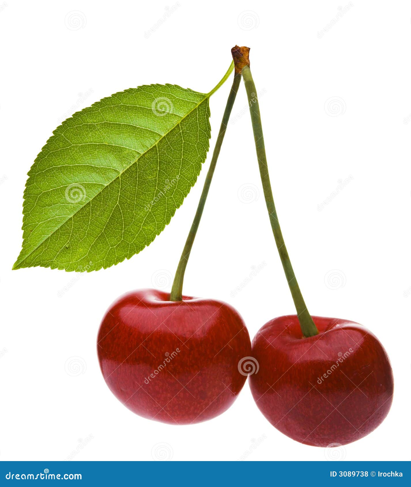 Cherry stock photo. Image of dieting, passion, background - 3089738
