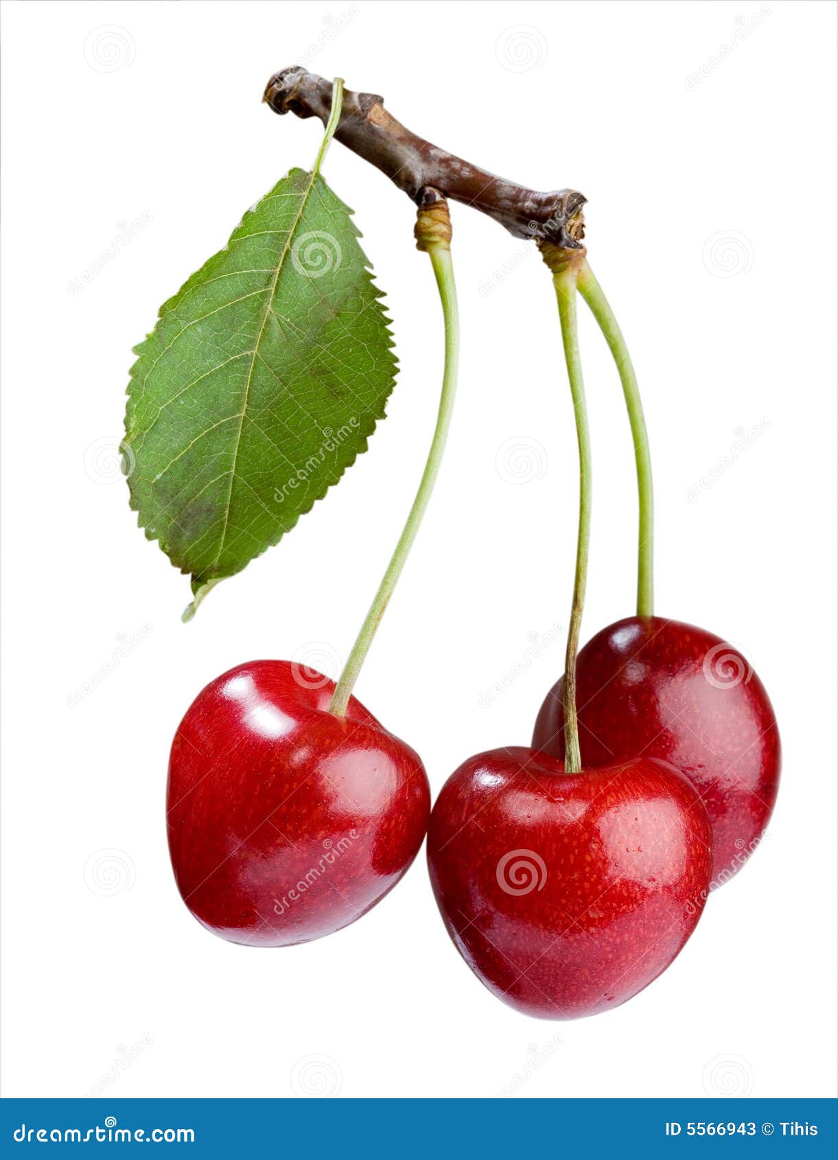 Cherry stock image. Image of shiny, kitchen, healthy, natural - 5566943